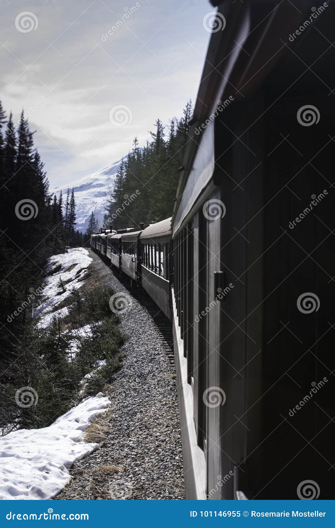 Alaskan train vertical stock image. Image of snow, nature - 101146955