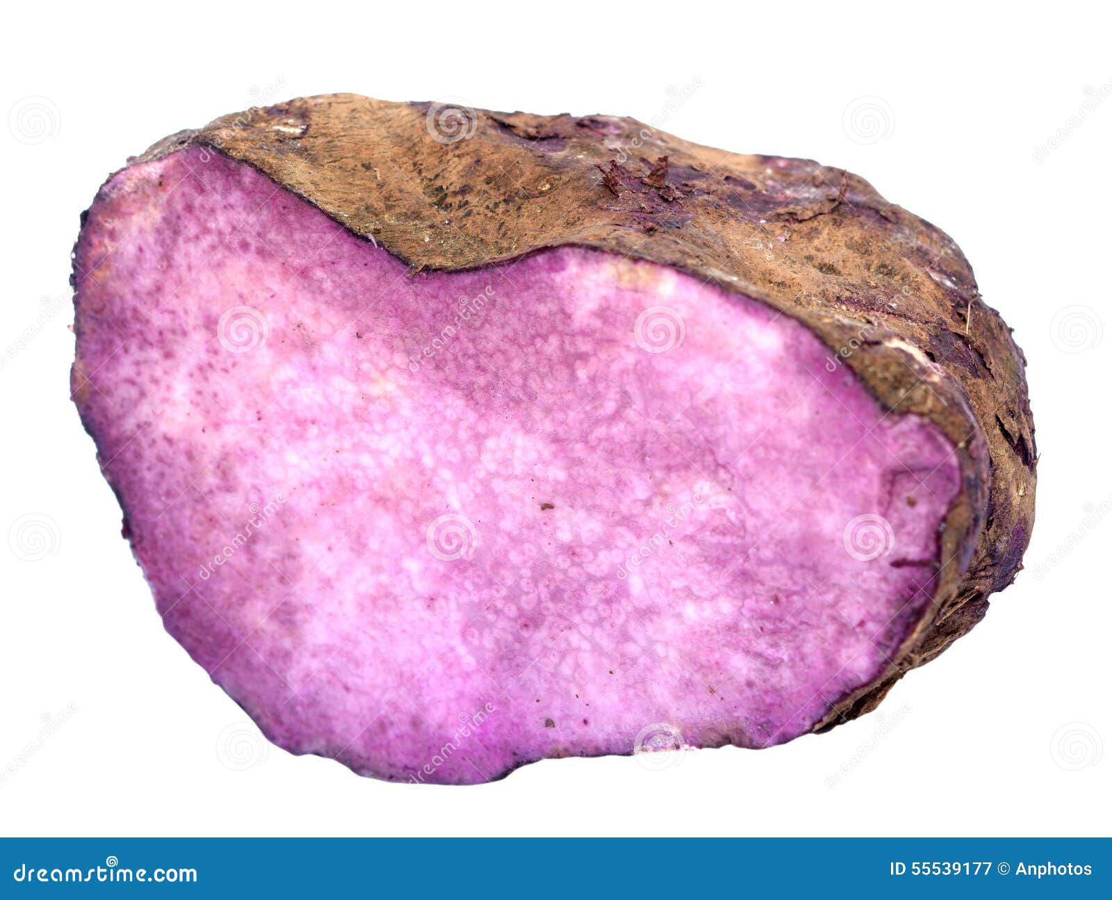 Alata Linn stock image. Image of ugly, purple, violet - 55539177