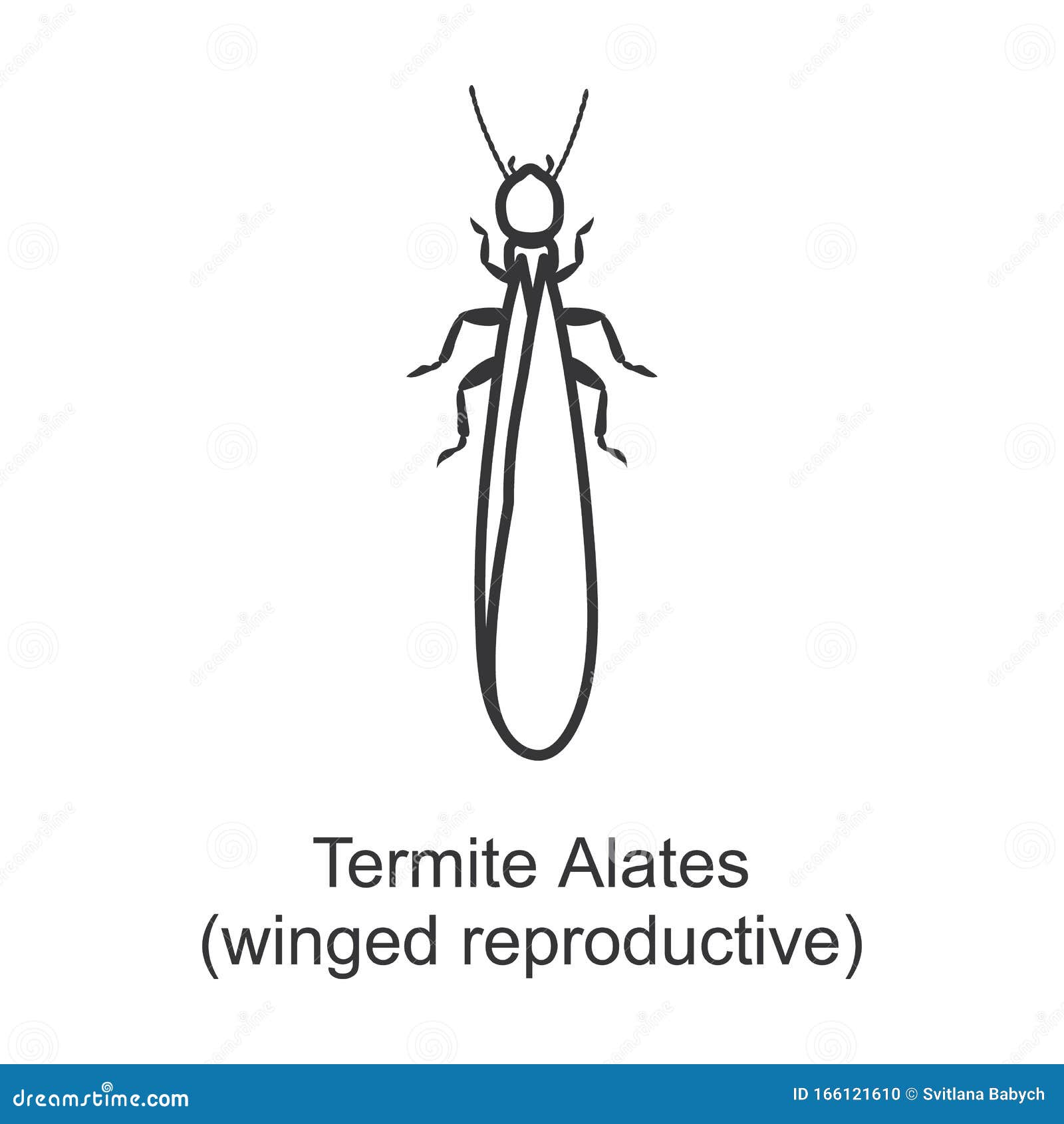 Alates Termite, Vector Icon.Black Vector Logo Isolated On White ...