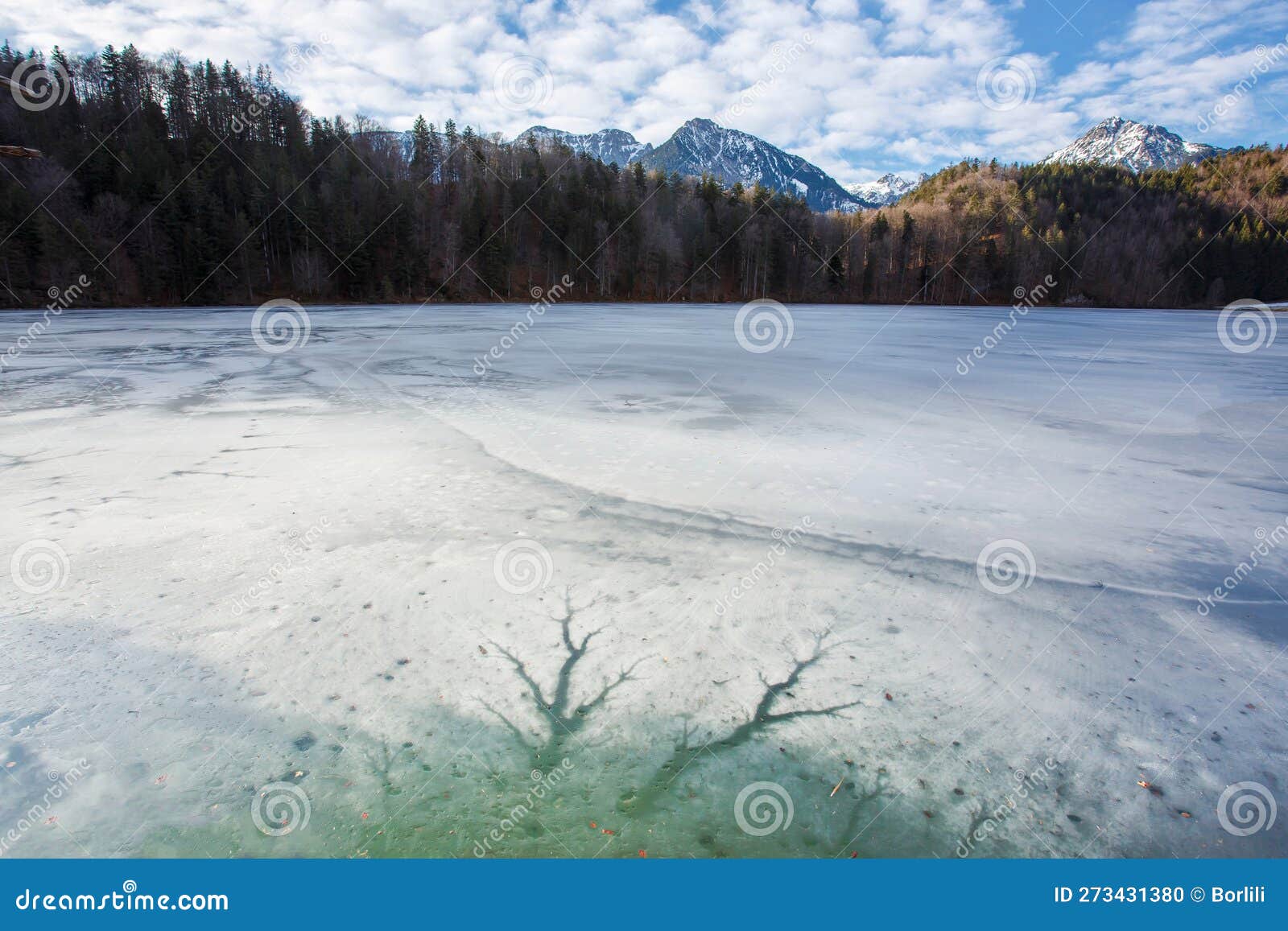Alatsee Lake by Winter. Austria Stock Photo - Image of alps, bayern ...