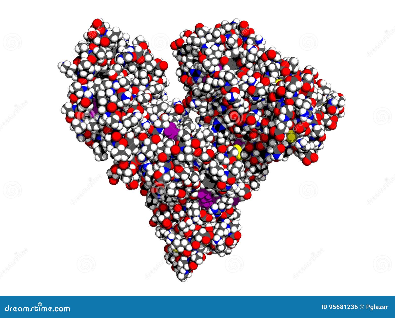 Estructura De La Albumina Humana - 2020 idea e inspiración