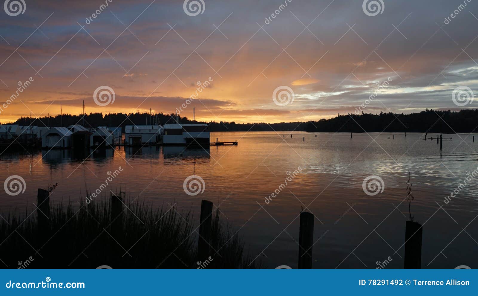 ALBA fotografia stock. Immagine di autunno, pioggia, dichiara - 78291492