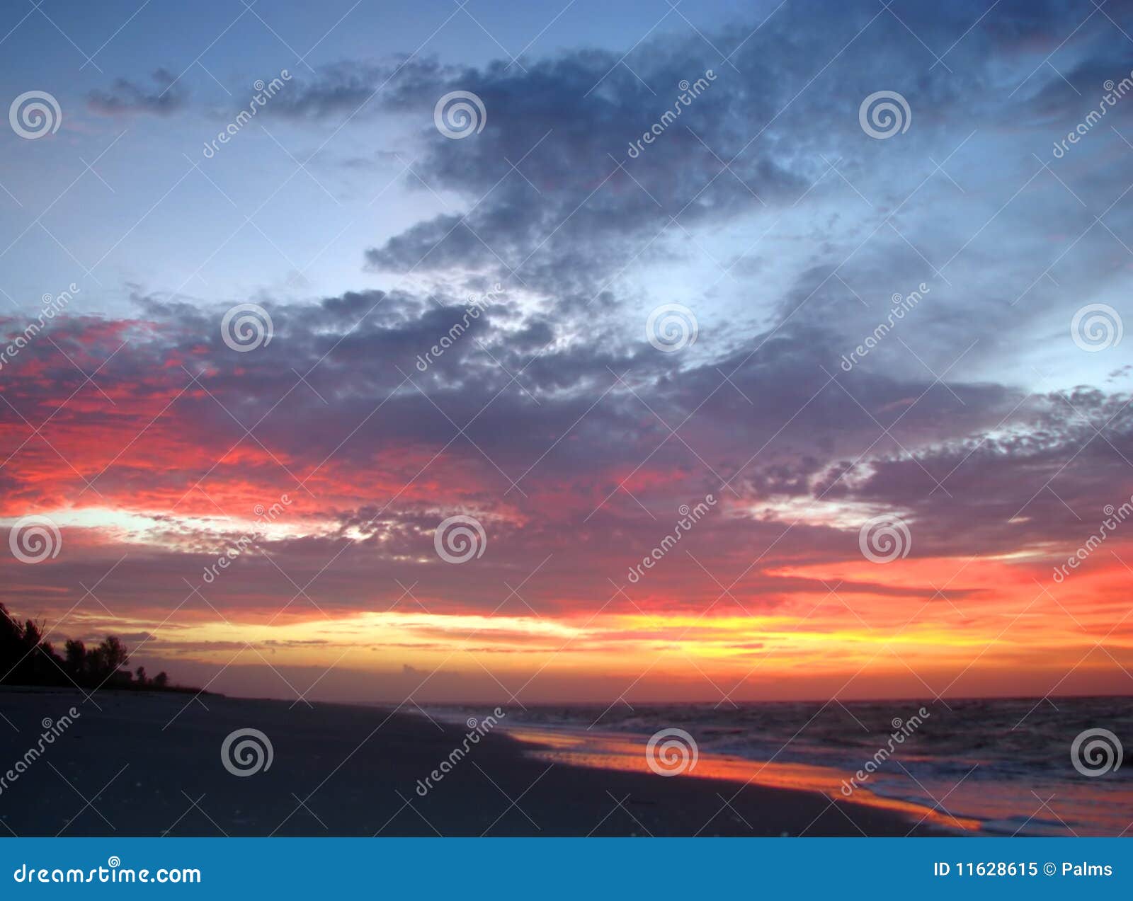Alba della spiaggia immagine stock. Immagine di spiaggia - 11628615