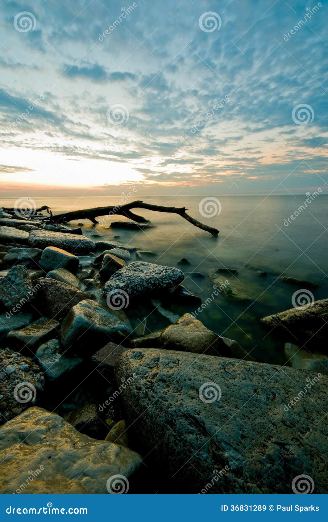 Alba di lago Michigan immagine stock. Immagine di albero - 36831289