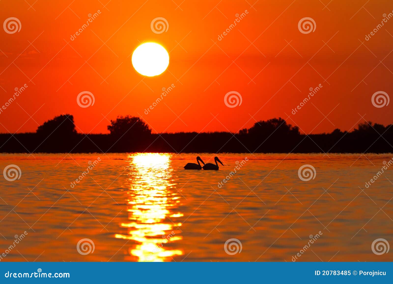 Alba nel delta del Danubio immagine stock. Immagine di bello - 20783485