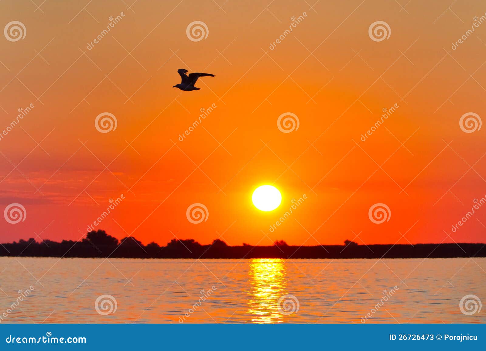 Alba nel delta del Danubio immagine stock. Immagine di estate - 26726473