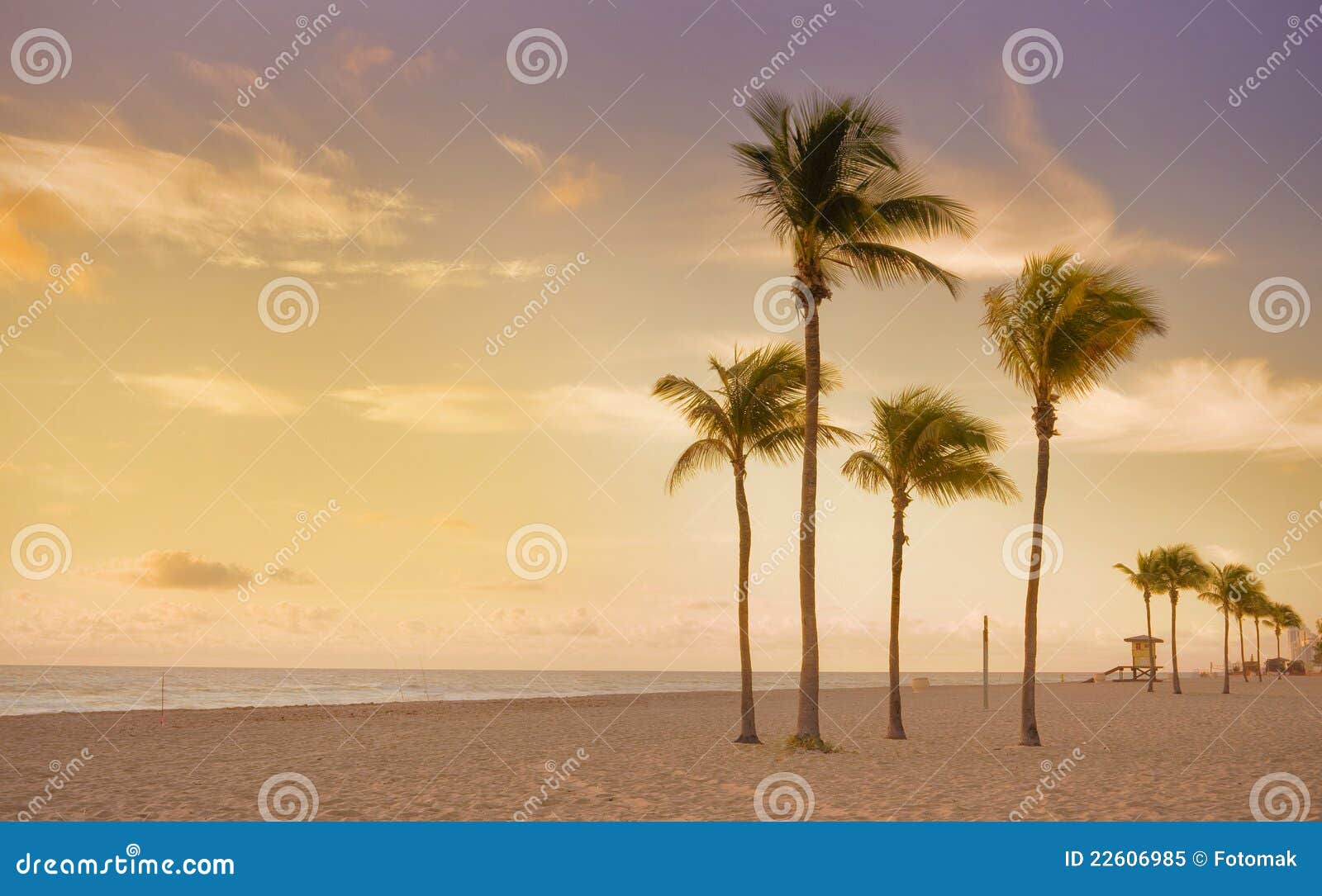 Alba Variopinta in Miami Beach Florida Immagine Stock - Immagine di ...