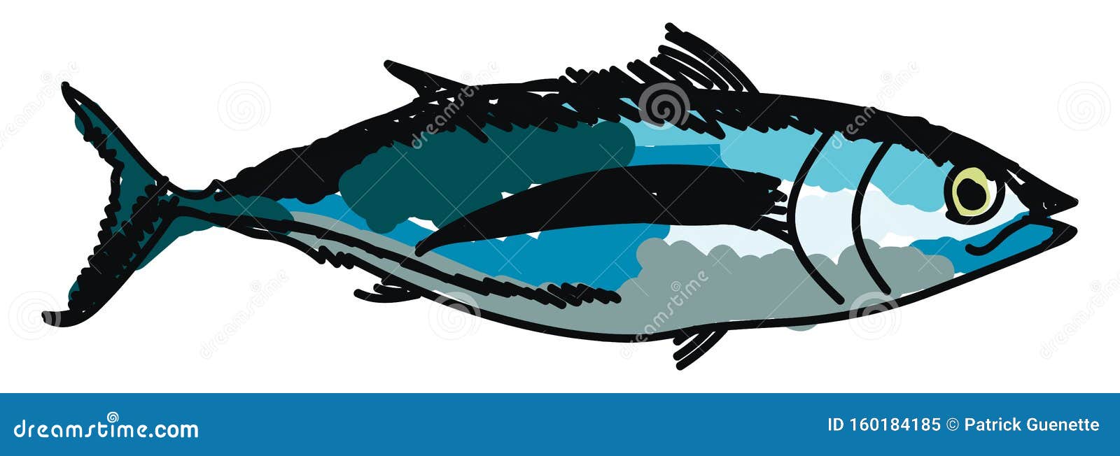 Albacore Fish Icon Vector. Fish Logo Design In Vector Illustration ...