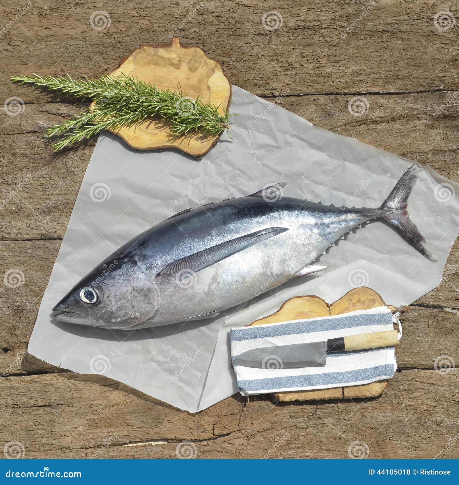 Albacore fish recently stock photo. Image of freshness - 44105018