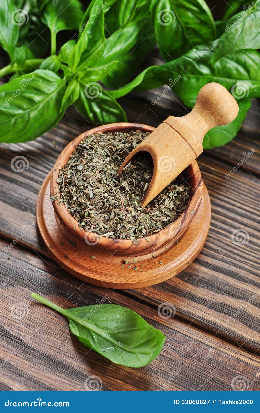 Albahaca seca y fresca imagen de archivo. Imagen de italiano - 33068827