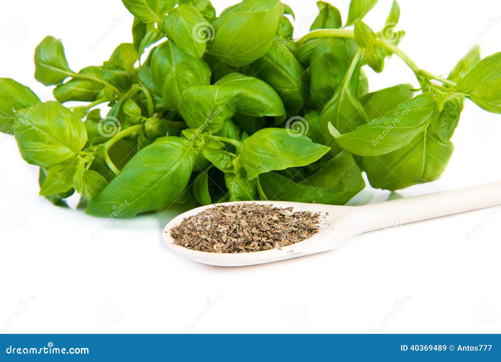 Albahaca seca y fresca imagen de archivo. Imagen de italiano - 40369489