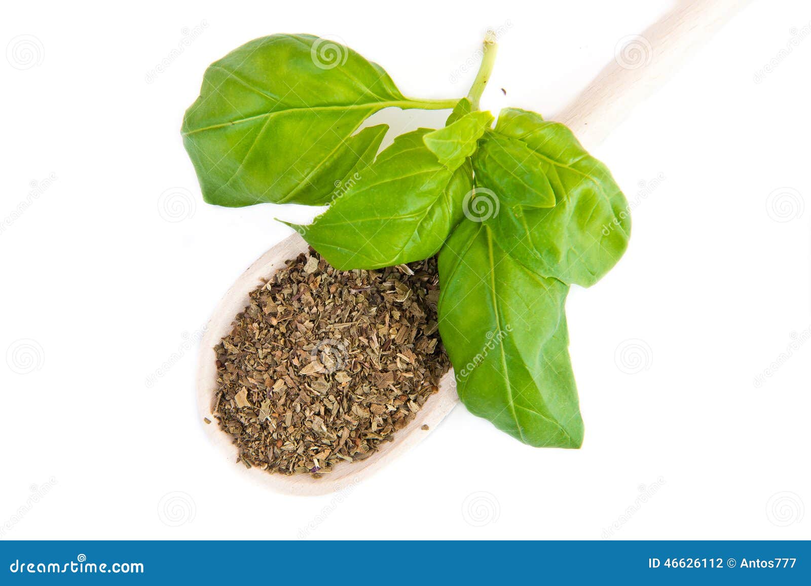 Albahaca seca y fresca foto de archivo. Imagen de escama - 46626112