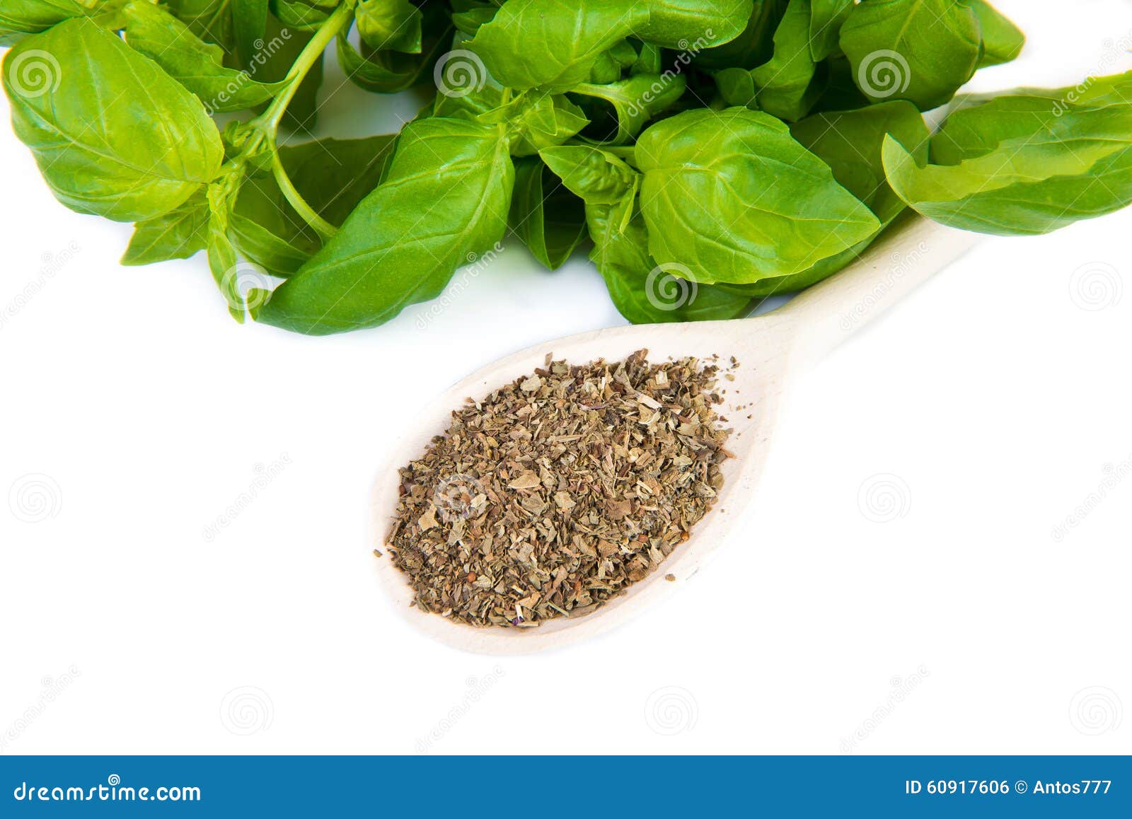 Albahaca seca y fresca foto de archivo. Imagen de travieso - 60917606