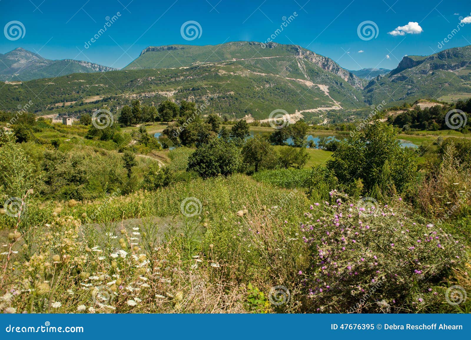 Albanees Platteland stock afbeelding. Image of bloemen - 47676395