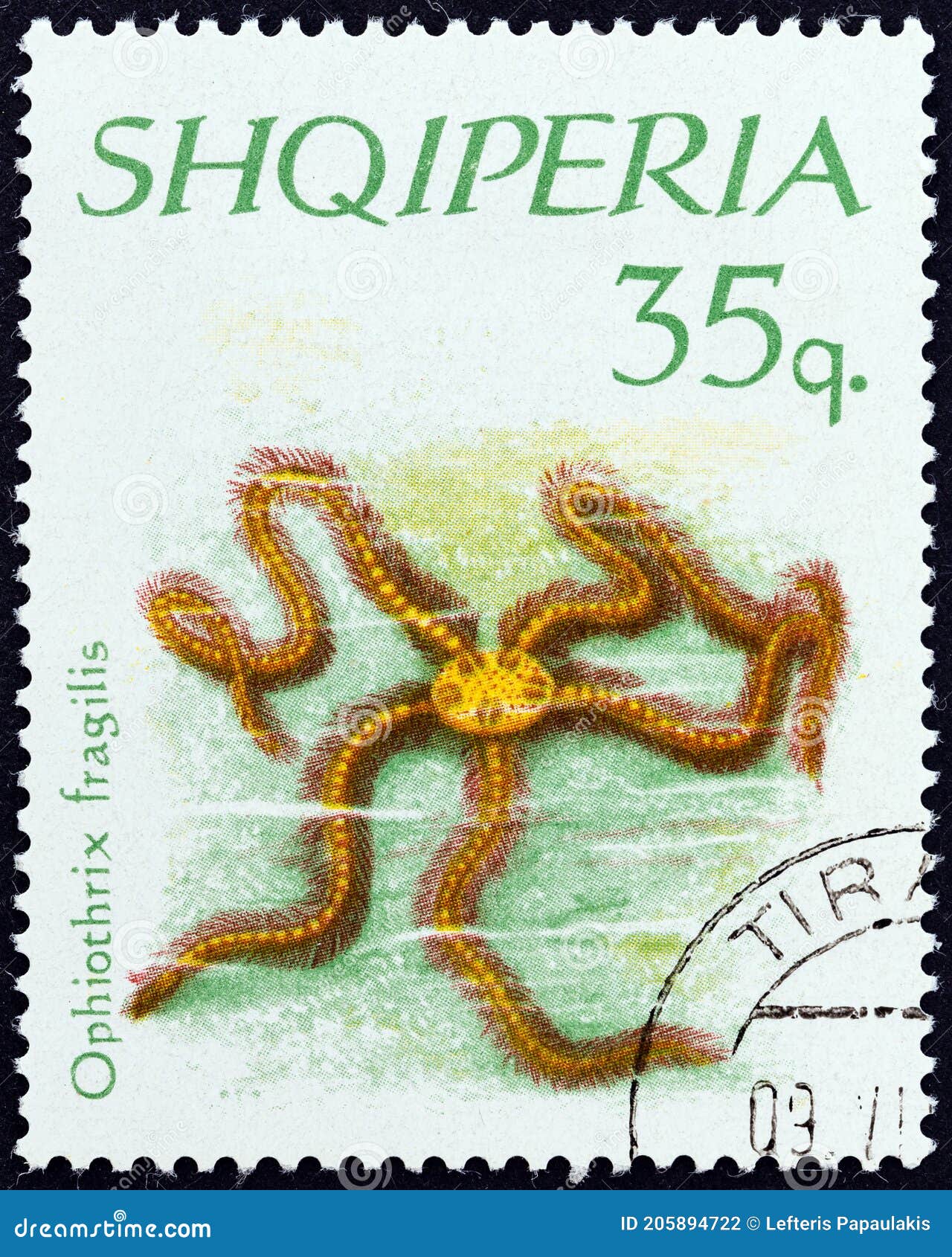 ALBANIA - CIRCA 1966: a Stamp Printed in Albania Shows Fragile Brittle ...