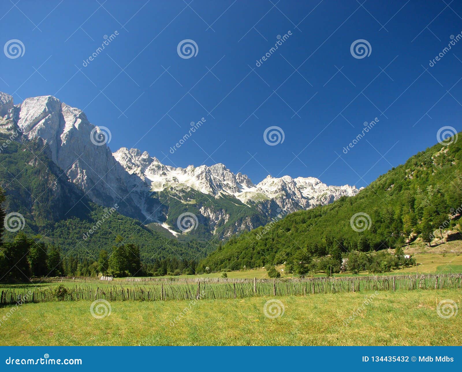 Albania Secrets Mountain, Green Pastures and Forest Stock Photo - Image ...