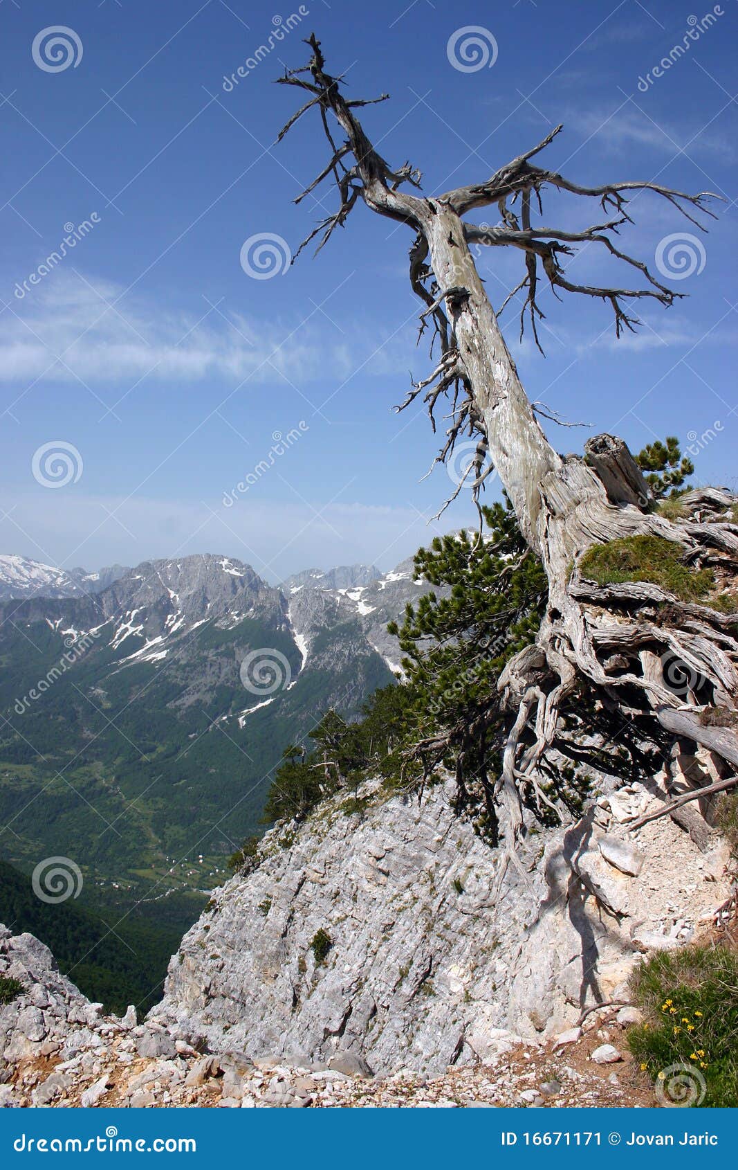 Albanian Alps stock image. Image of south, nature, mountain - 16671171