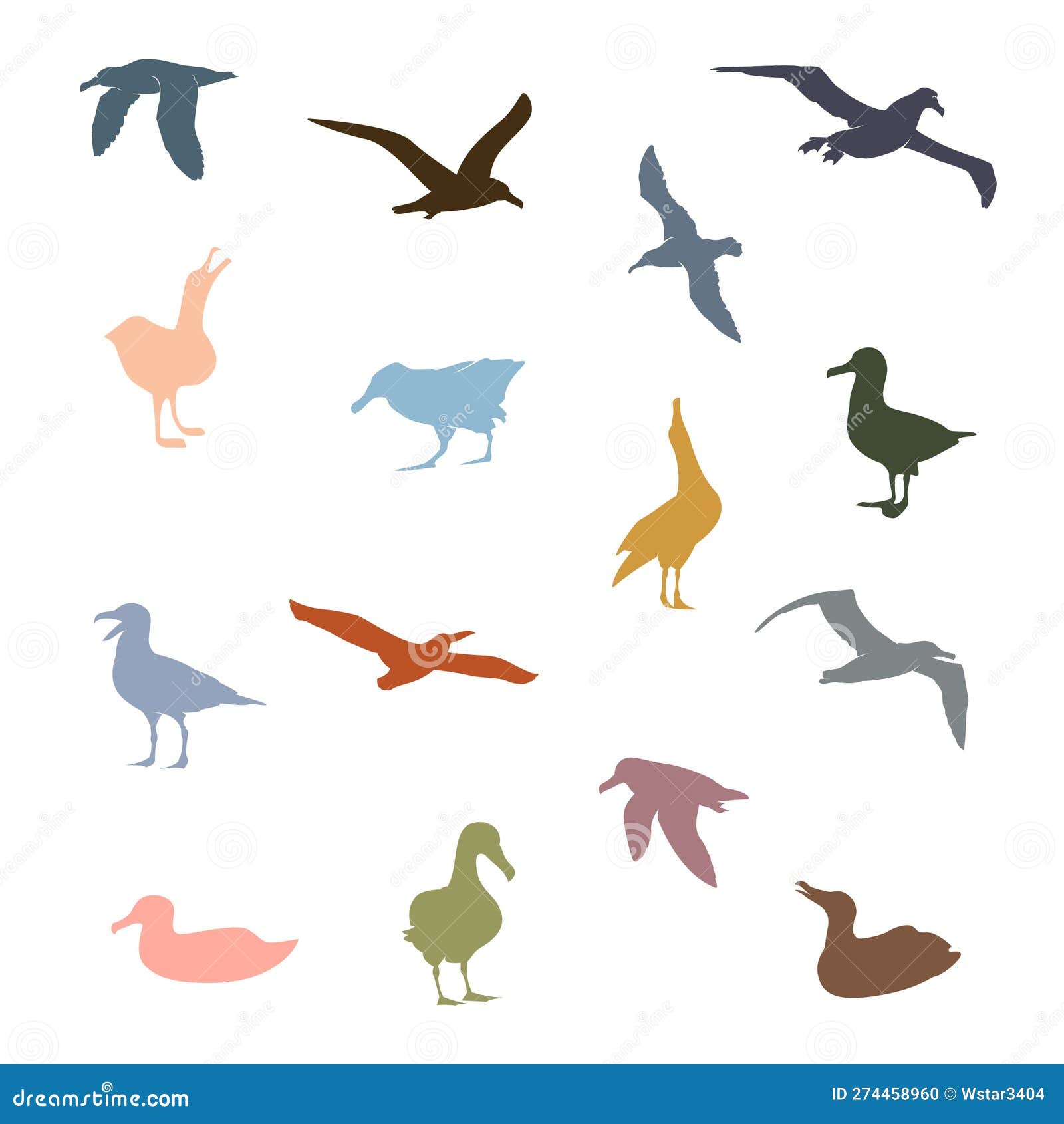Albatross Bird Icon. Colorful Seagulls Vector Illustration Stock Vector ...