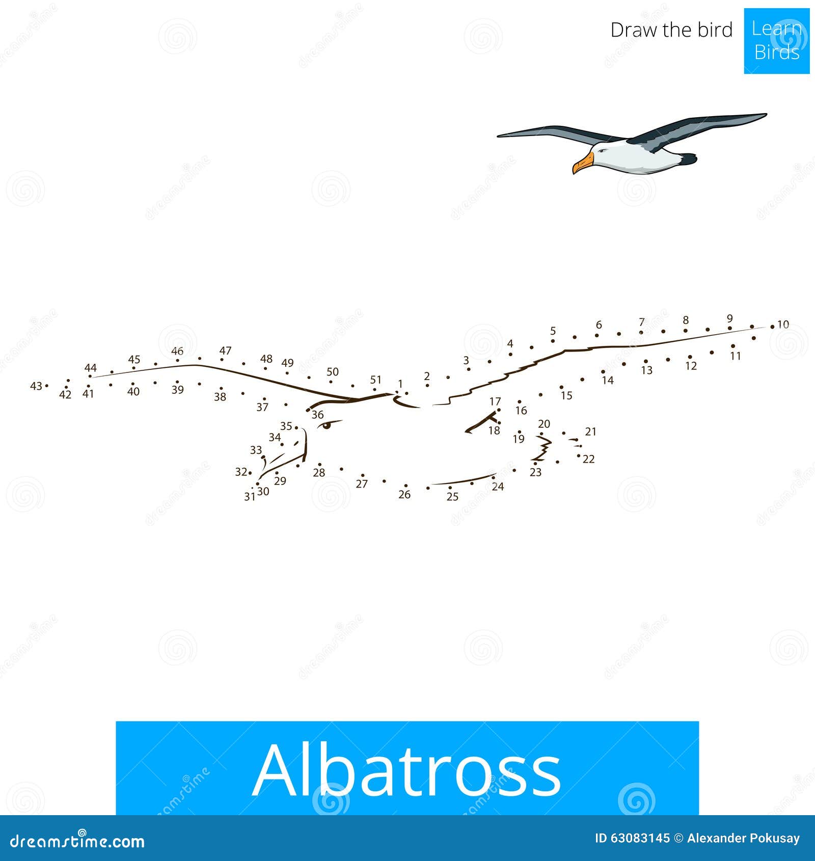 Albatross Vector Silhouette Illustration Isolated On White Background ...
