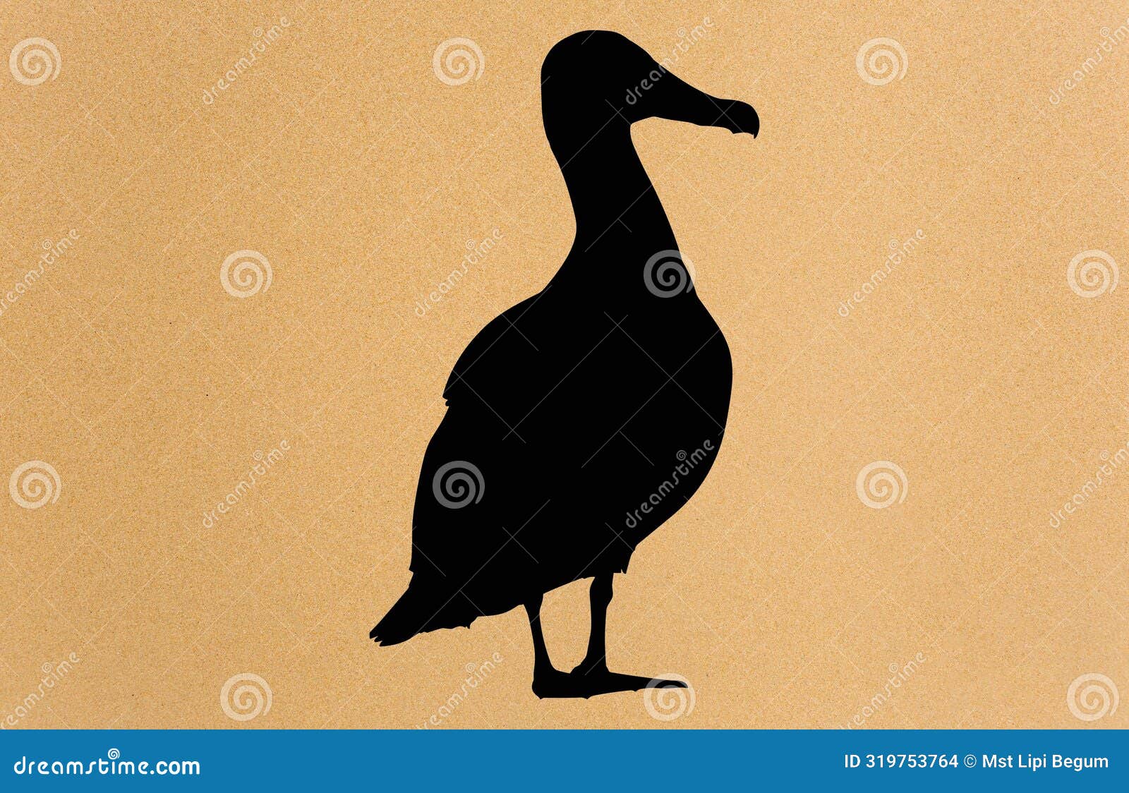 Albatross Silhouette, Albatross Silhouette Black Vector Illustration ...