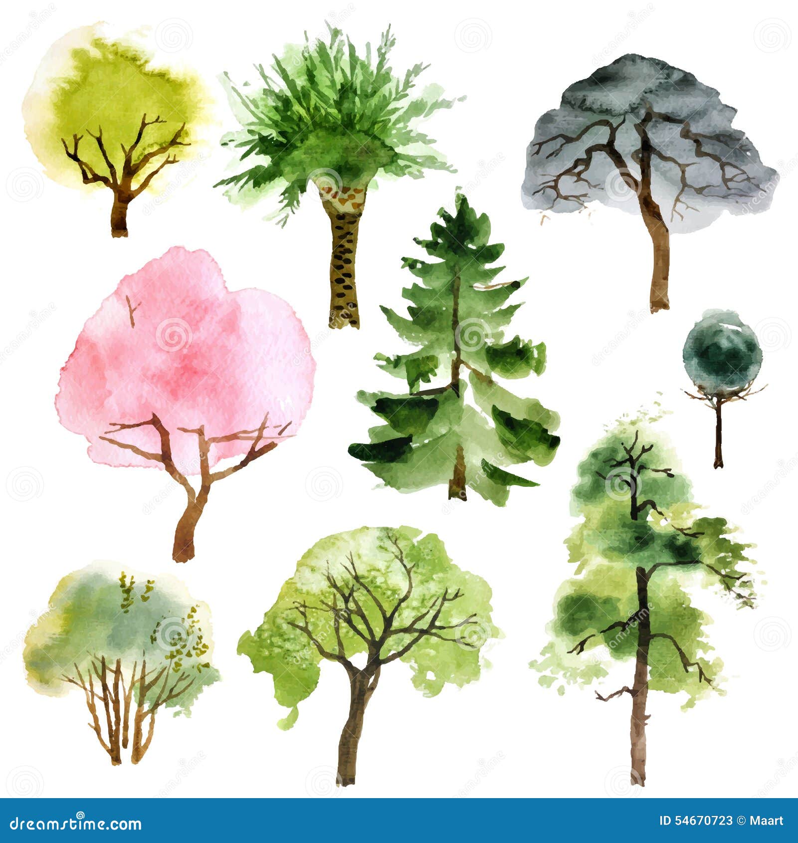 Alberi Dell'acquerello Messi Illustrazione Vettoriale - Illustrazione ...