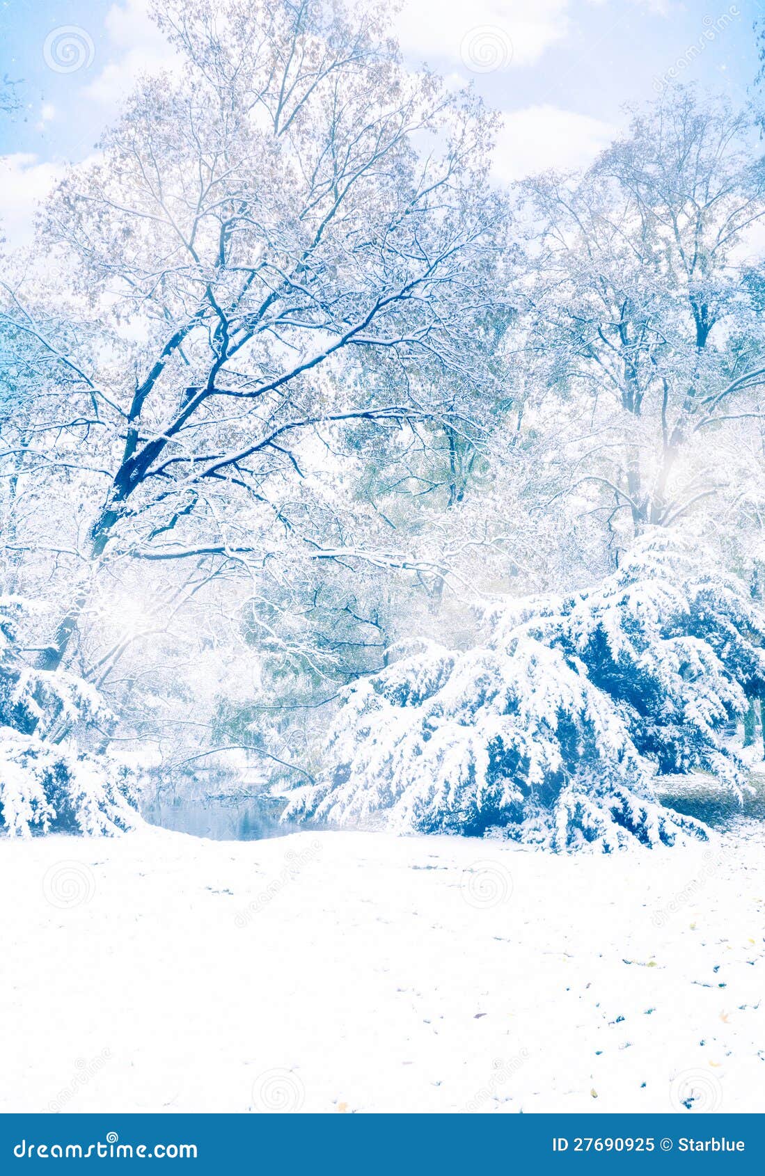 Alberi di inverno immagine stock. Immagine di stagione - 27690925