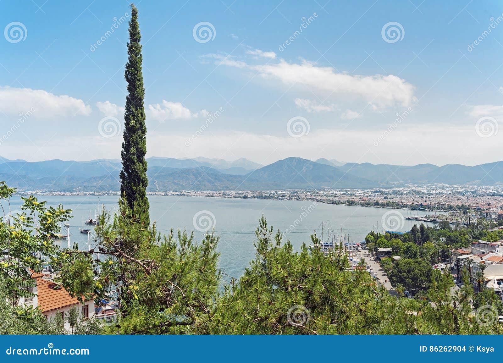 Albero Alto E Fethiye, Turchia Fotografia Stock - Immagine di ...