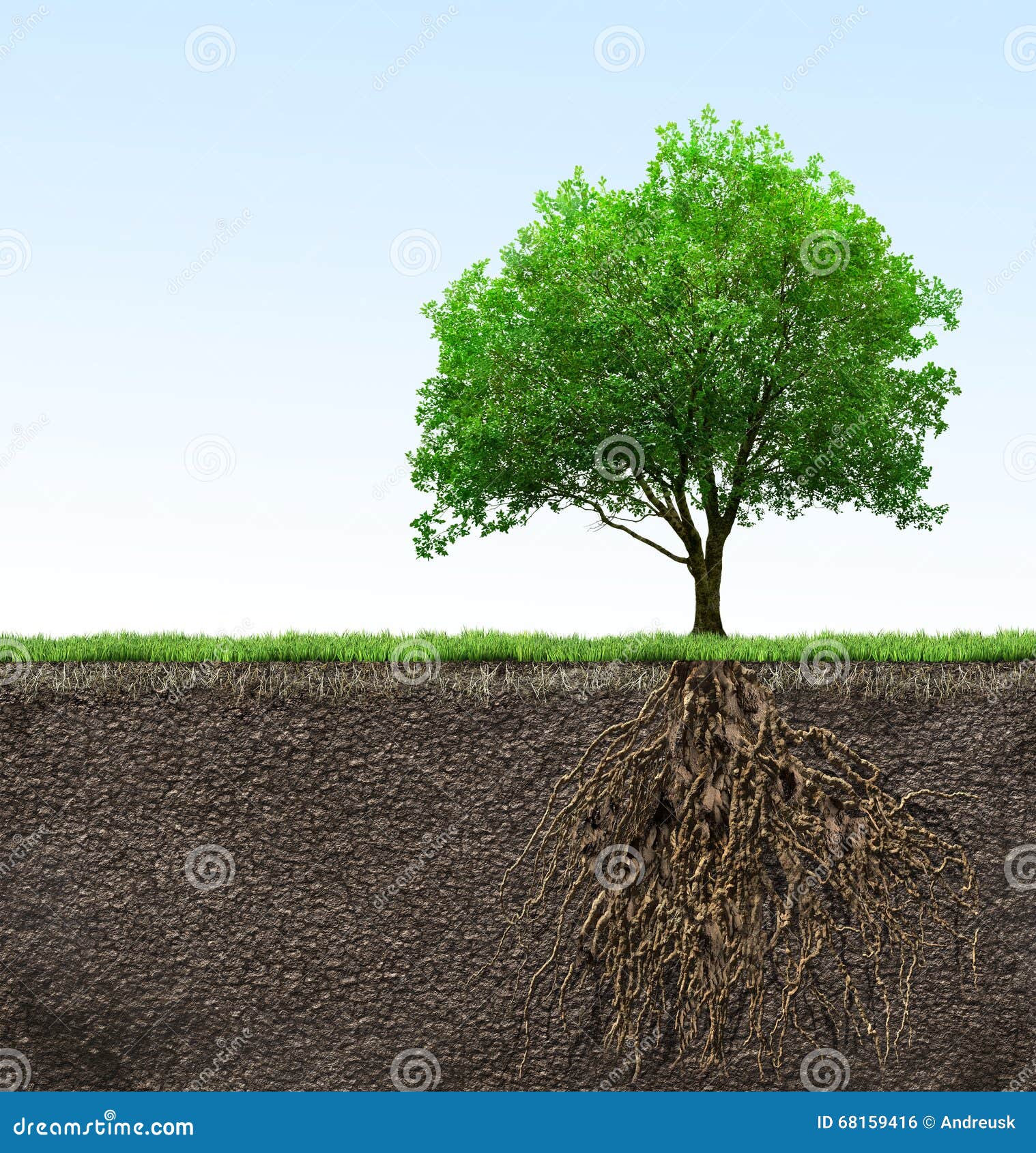 Albero con le radici illustrazione di stock. Illustrazione di ...