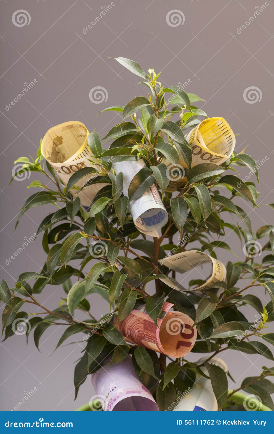 Albero Dei Soldi Con Le Euro Banconote Fotografia Stock - Immagine di ... Albero Dei Soldi Con Le Euro Banconote Fotografia Stock - Immagine di ...
