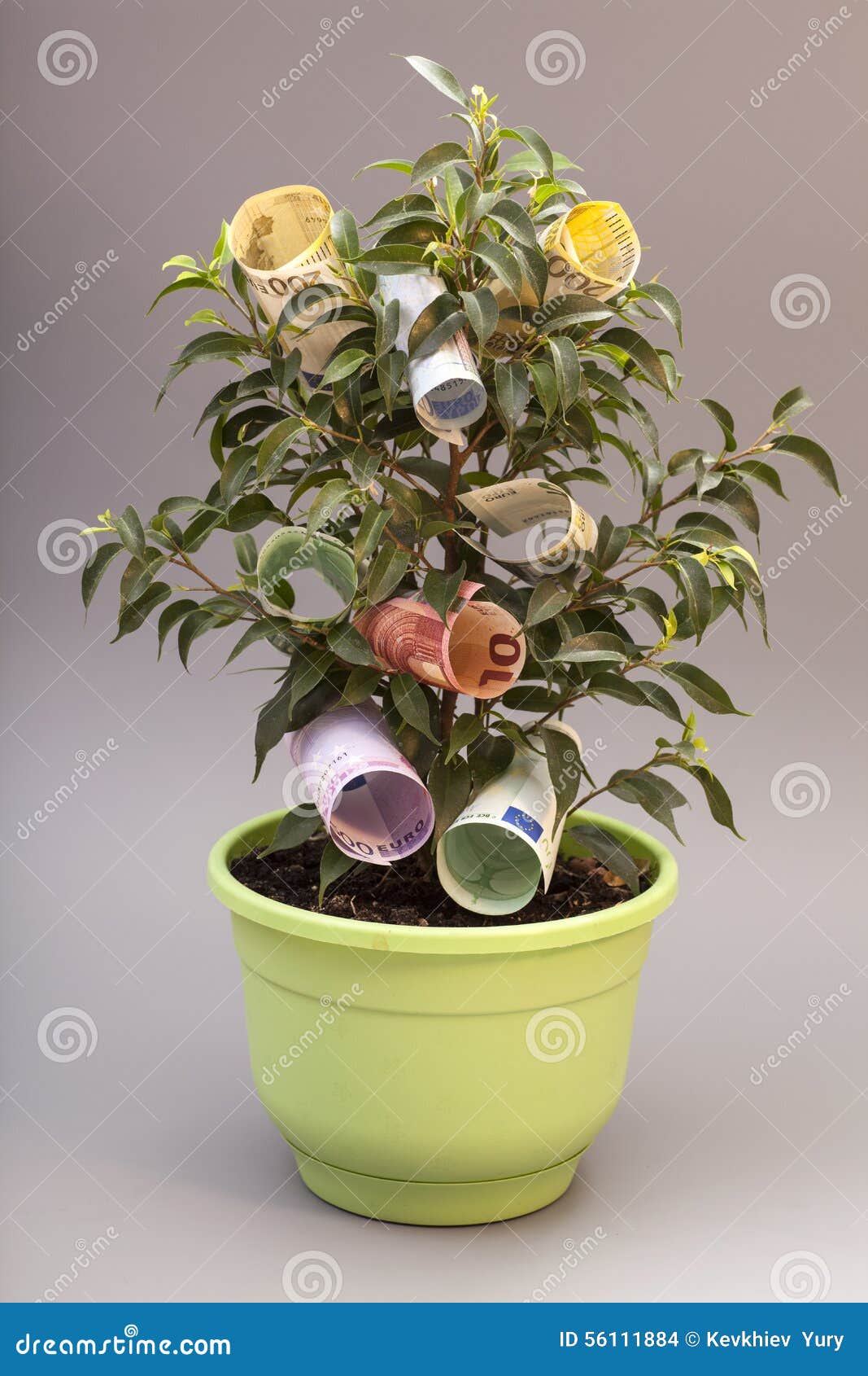 Albero Dei Soldi Con Le Euro Banconote Fotografia Stock - Immagine di ... Albero Dei Soldi Con Le Euro Banconote Fotografia Stock - Immagine di ...