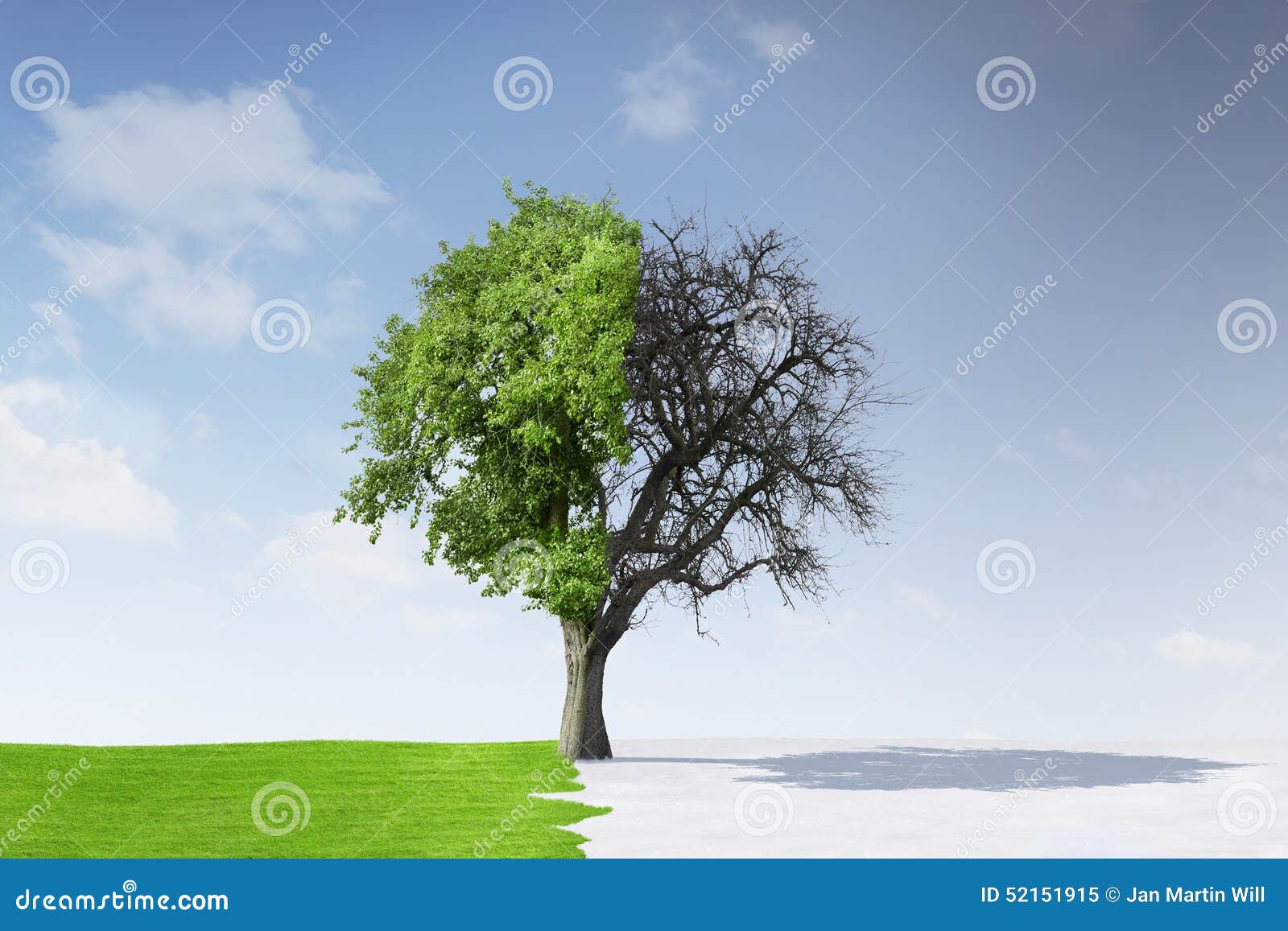 Albero Di Estate E Di Inverno Immagine Stock - Immagine di morire ...