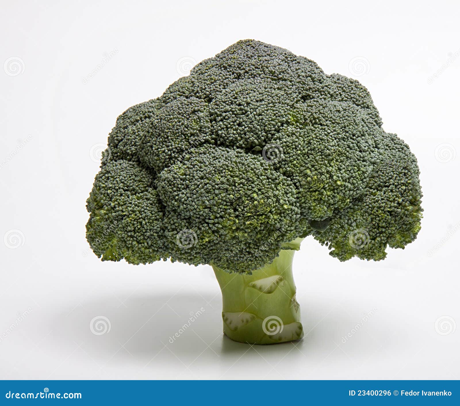 Albero fresco del broccolo fotografia stock. Immagine di sfondo - 23400296