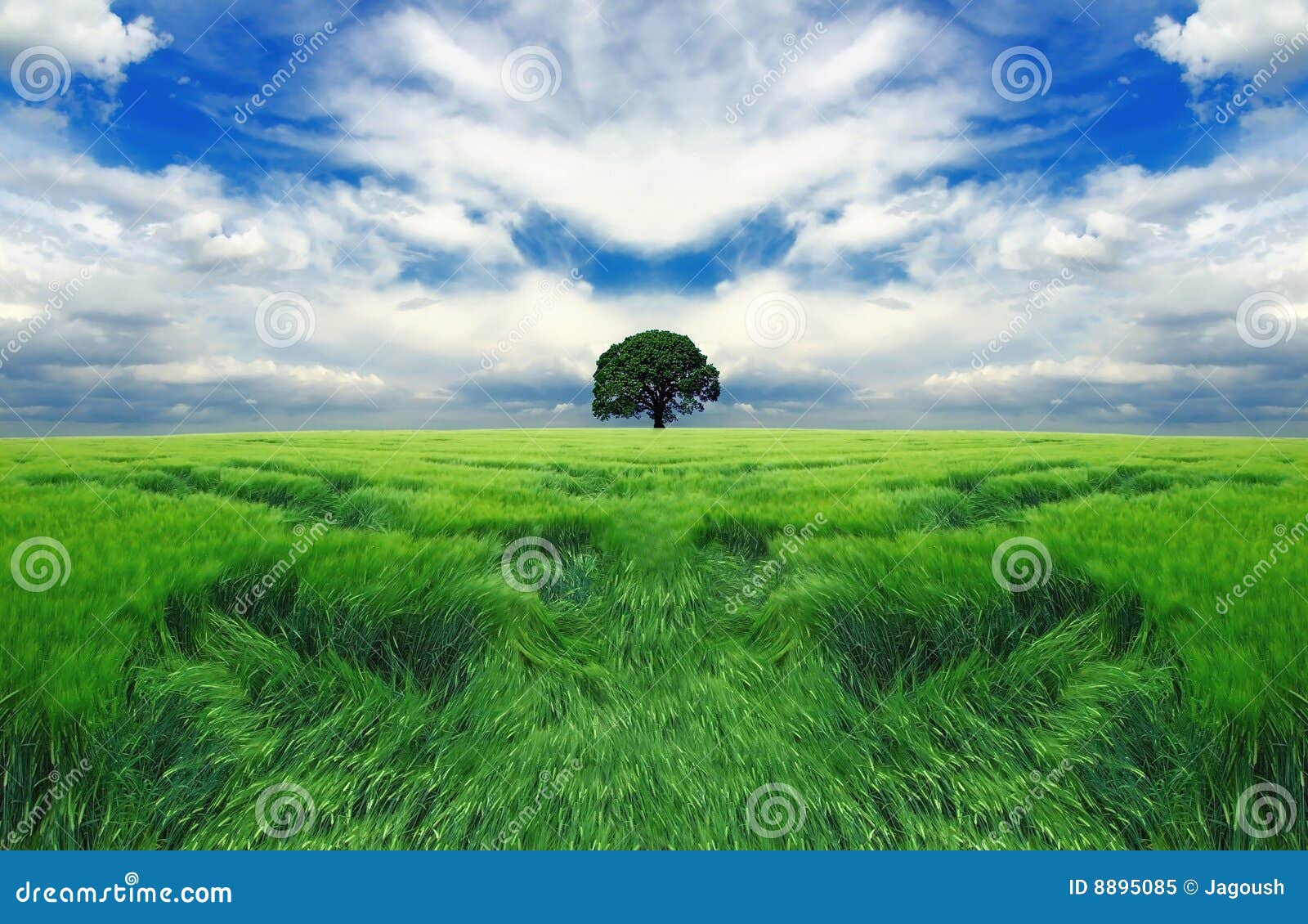 Albero nel campo infinito immagine stock. Immagine di grano - 8895085