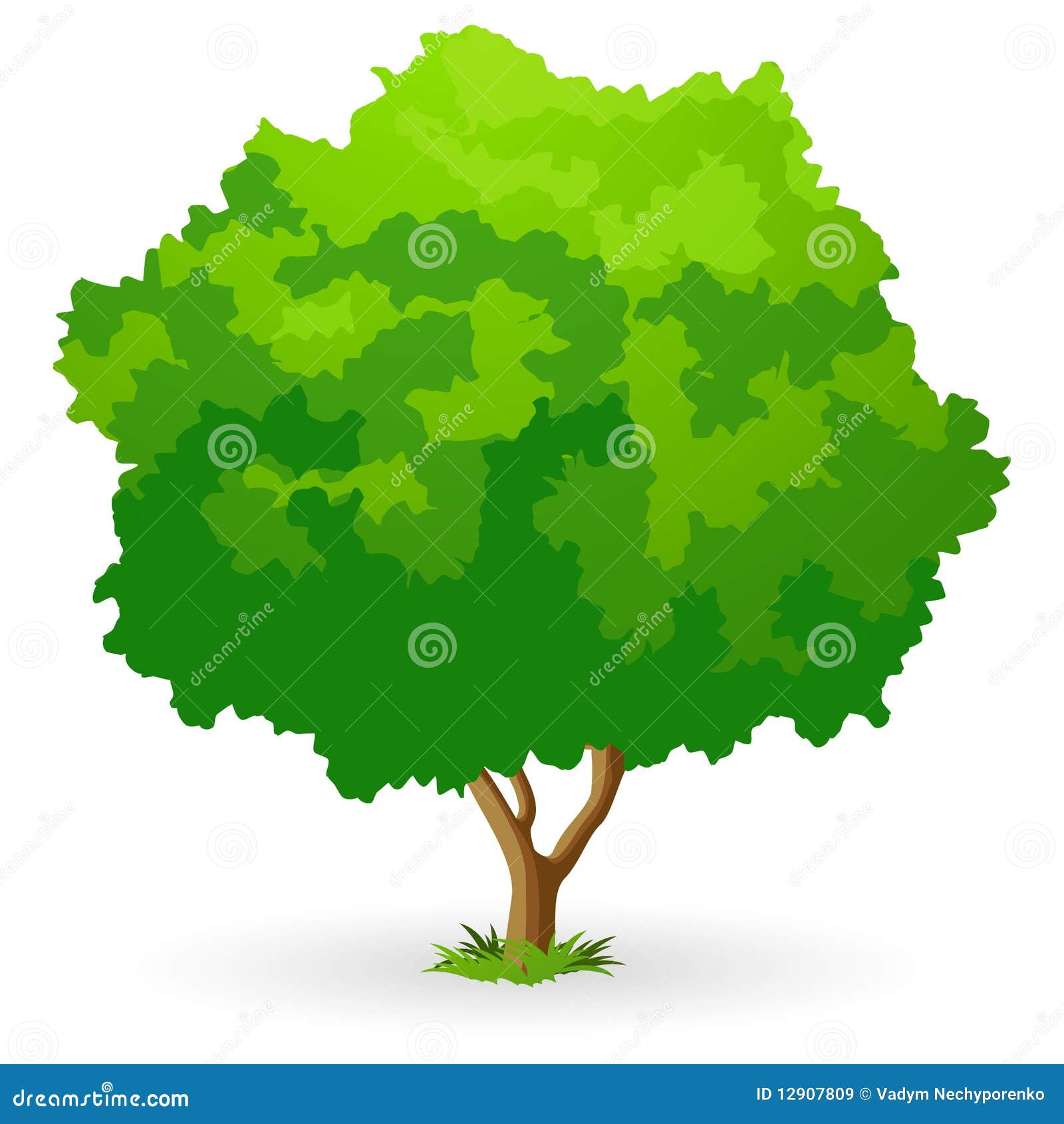 Albero verde illustrazione vettoriale. Illustrazione di albero - 12907809