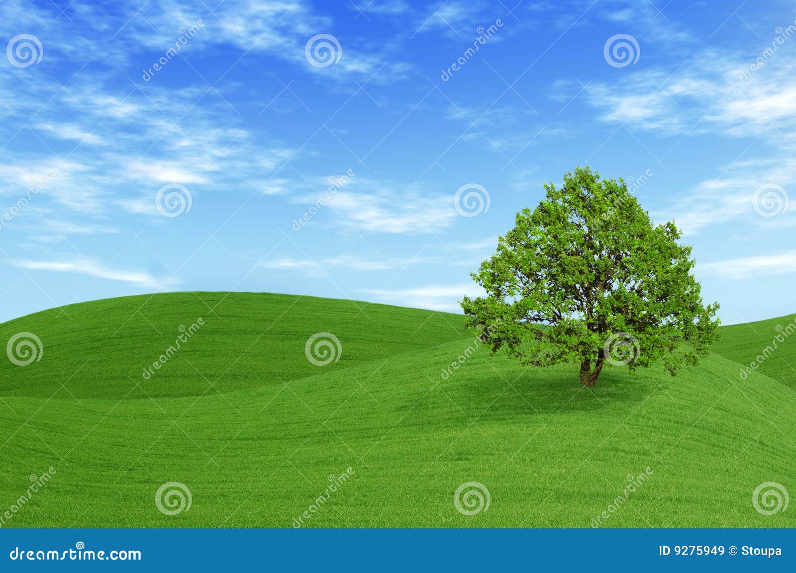 Albero verde nel campo immagine stock. Immagine di nubi - 9275949