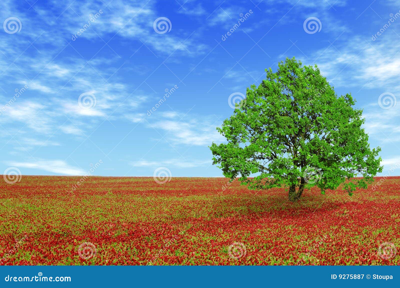 Albero Verde Nel Campo Rosso Immagine Stock - Immagine di scenico ...