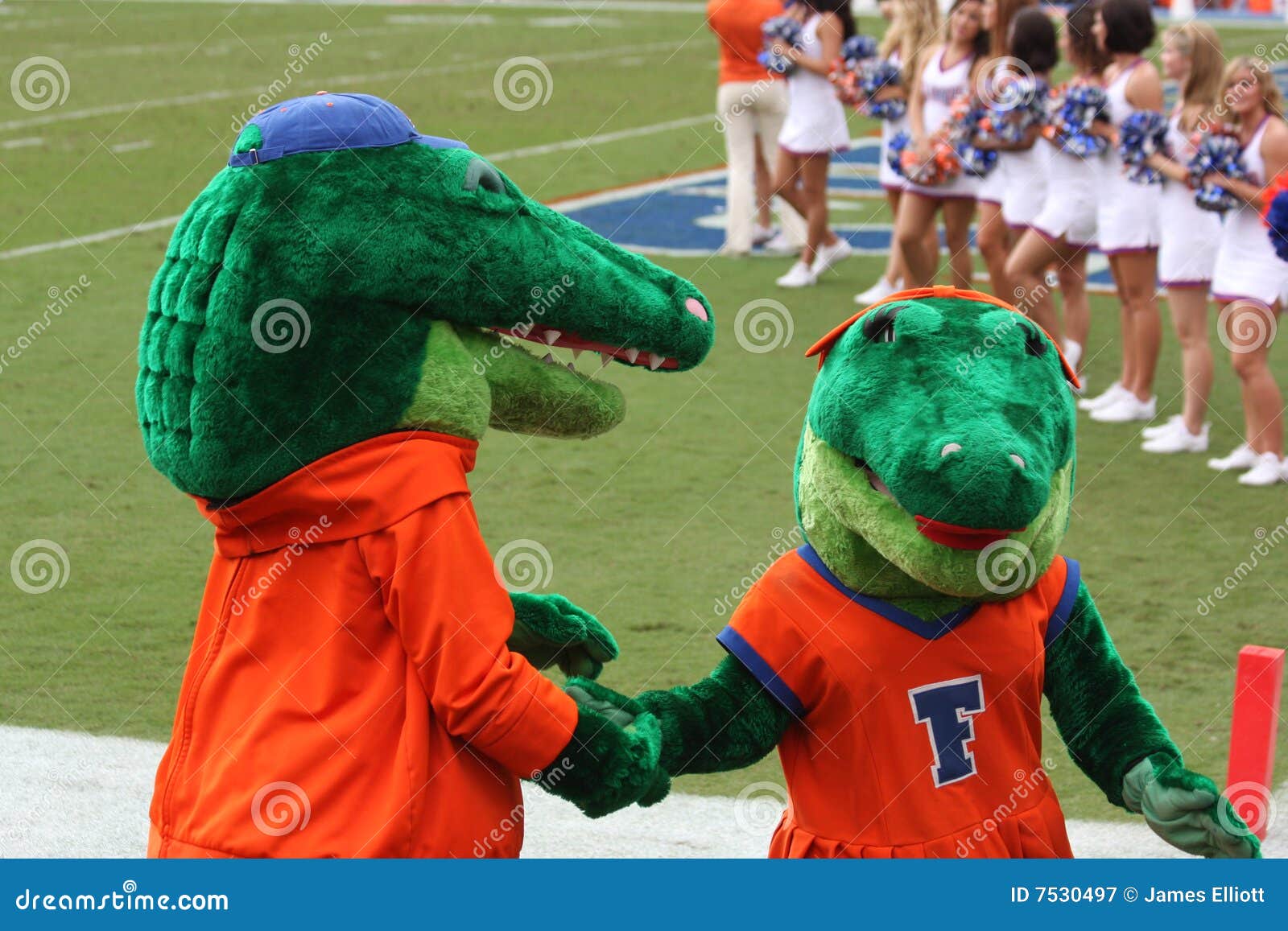 Albert and Alberta editorial photography. Image of university - 7530497