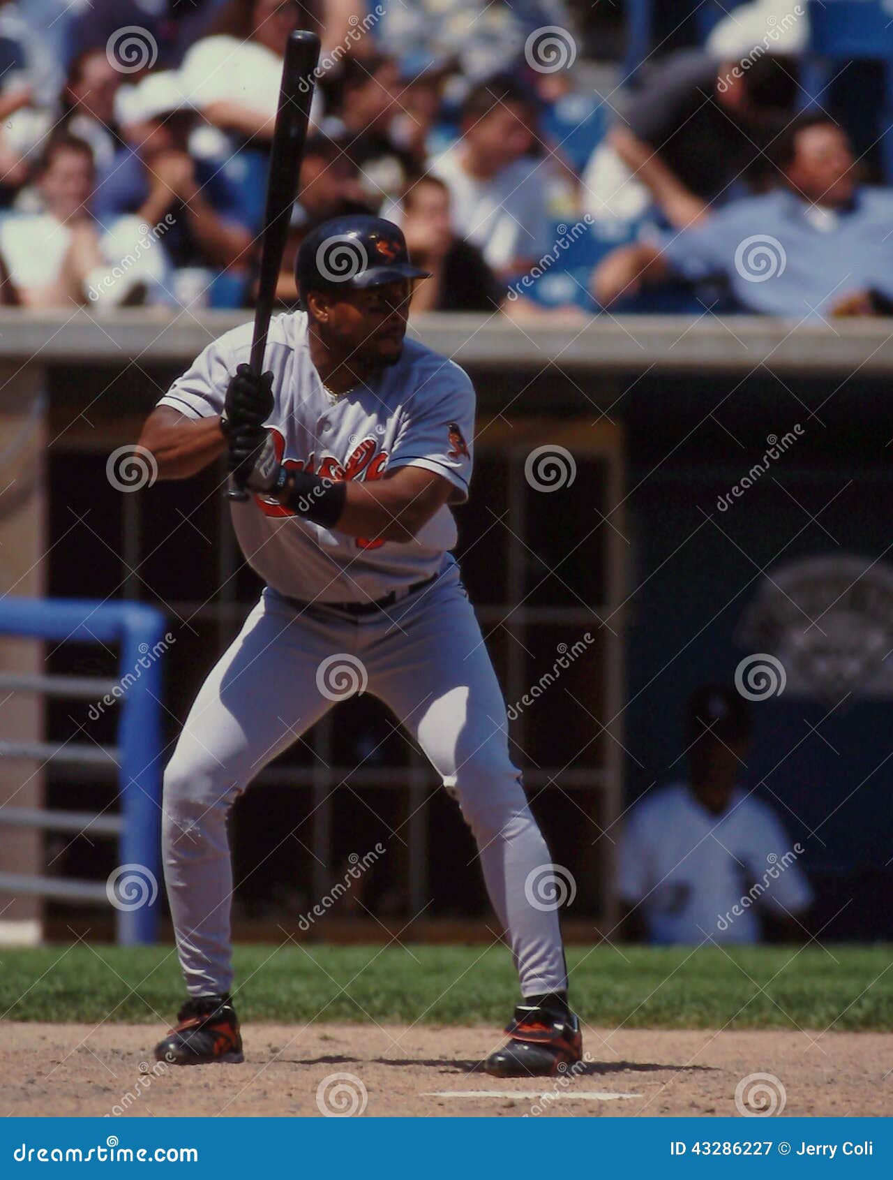 Albert Belle Baltimore Orioles Editorial Photography - Image of ...