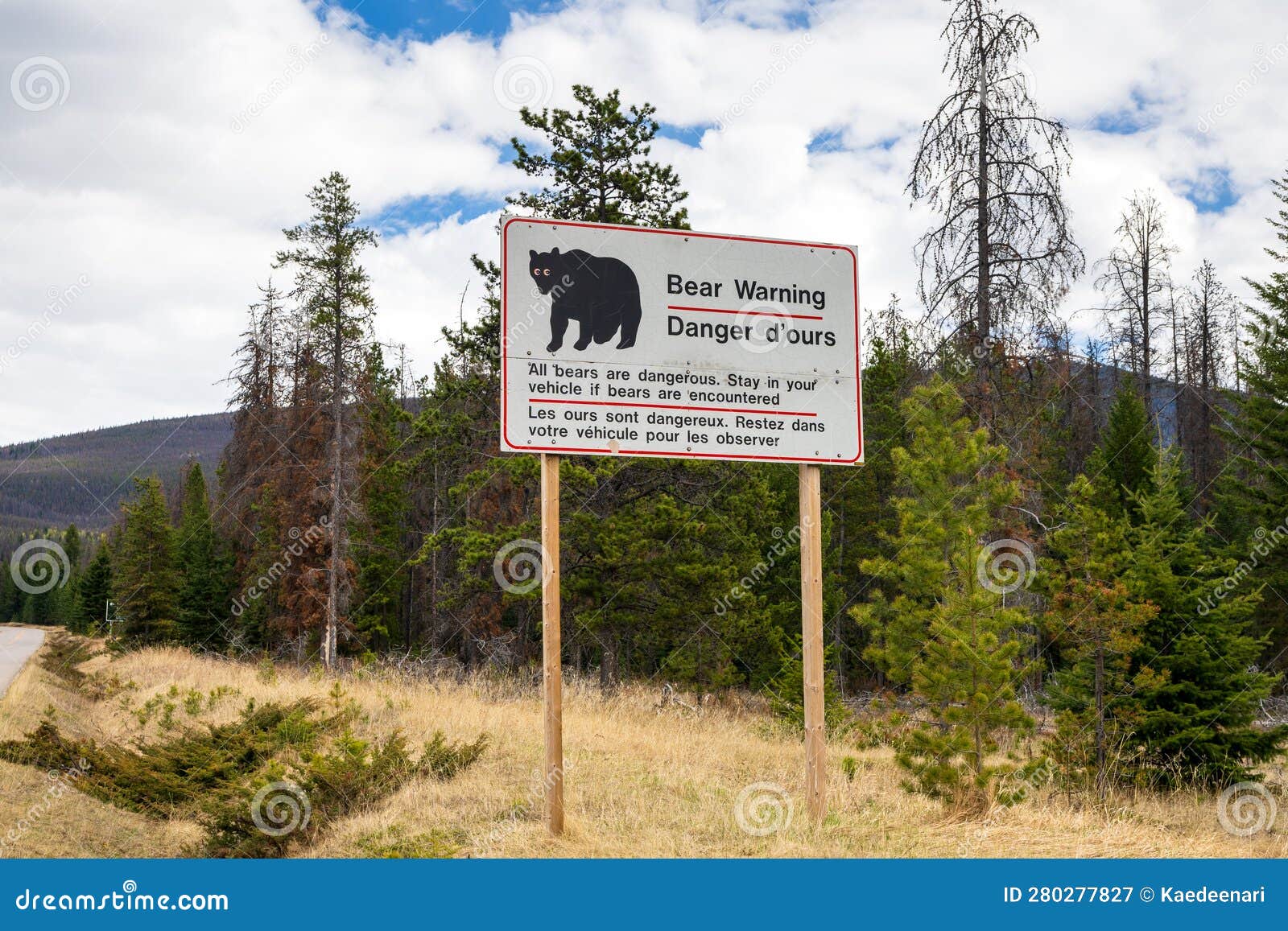 Bear Warning Sign in Jasper National Park. Editorial Photography ...