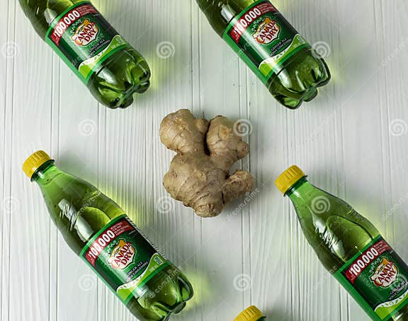 ALBERTA, CANADA November 11, 2020 Plastic Bottle 710 ML of Canada Dry ...