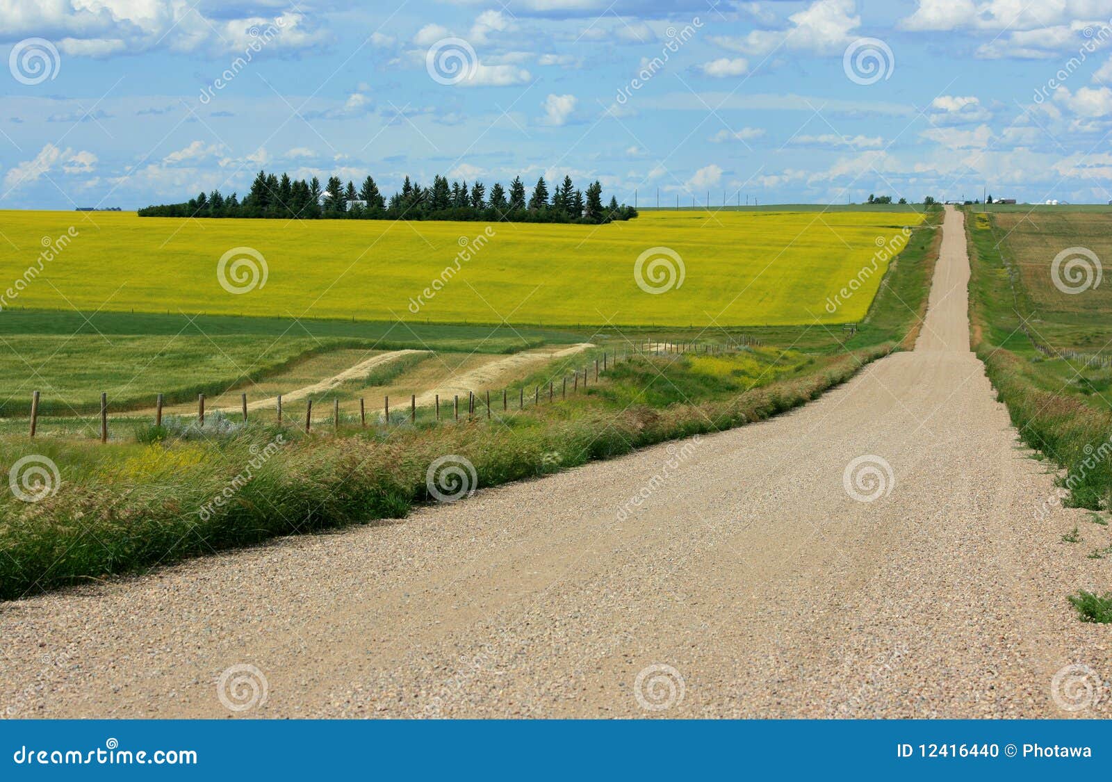 Alberta Farmlands stock photo. Image of dirt, rural, alberta - 12416440