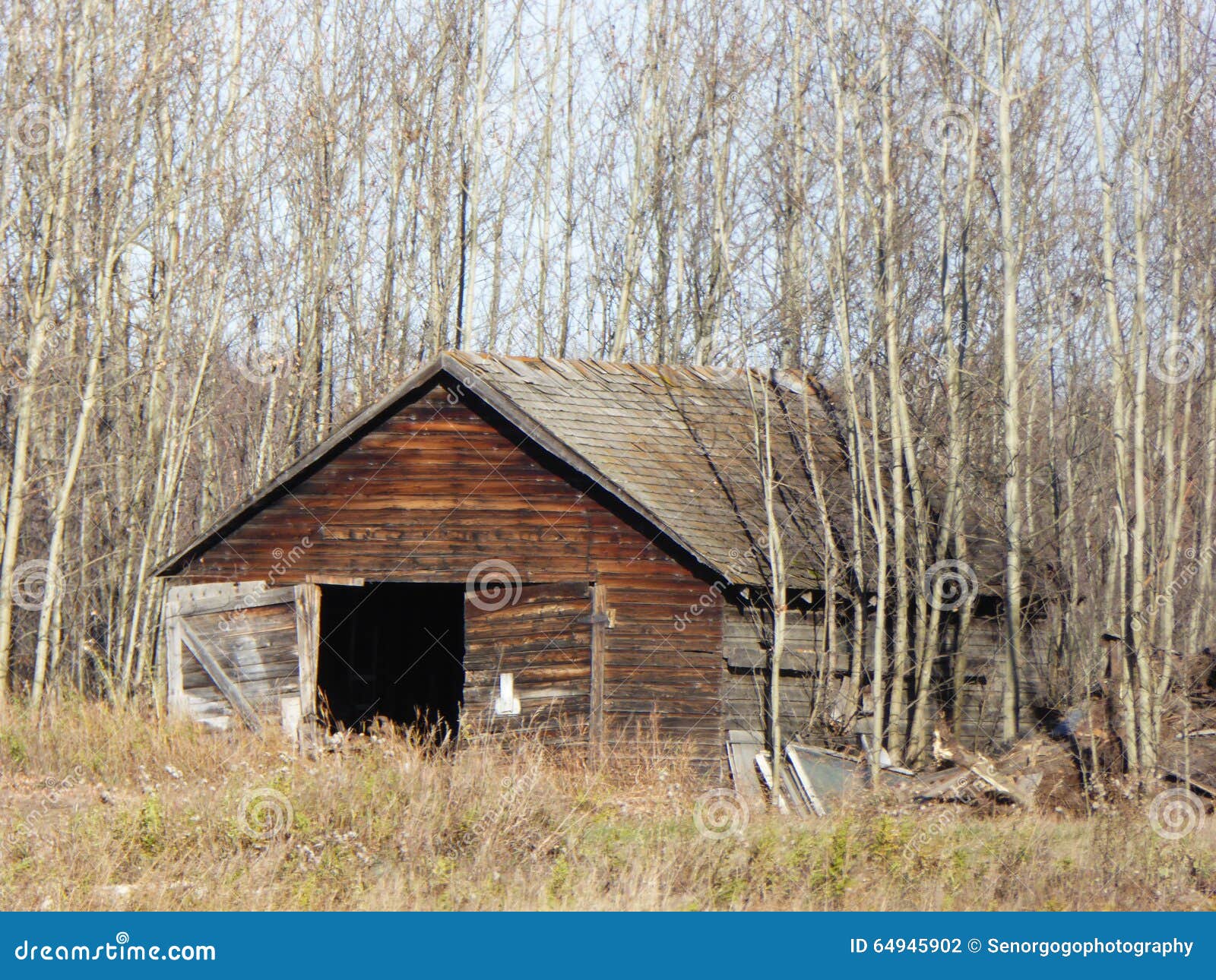 Alberta Farms and Ranches stock photo. Image of trees - 64945902