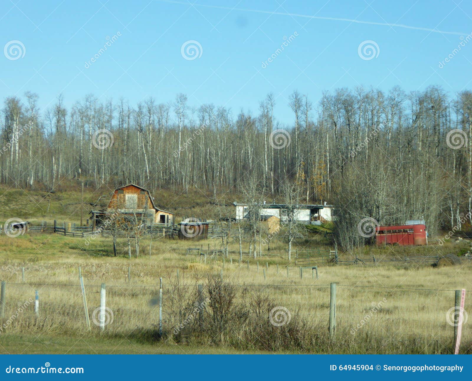 Alberta Farms and Ranches stock photo. Image of bran - 64945904