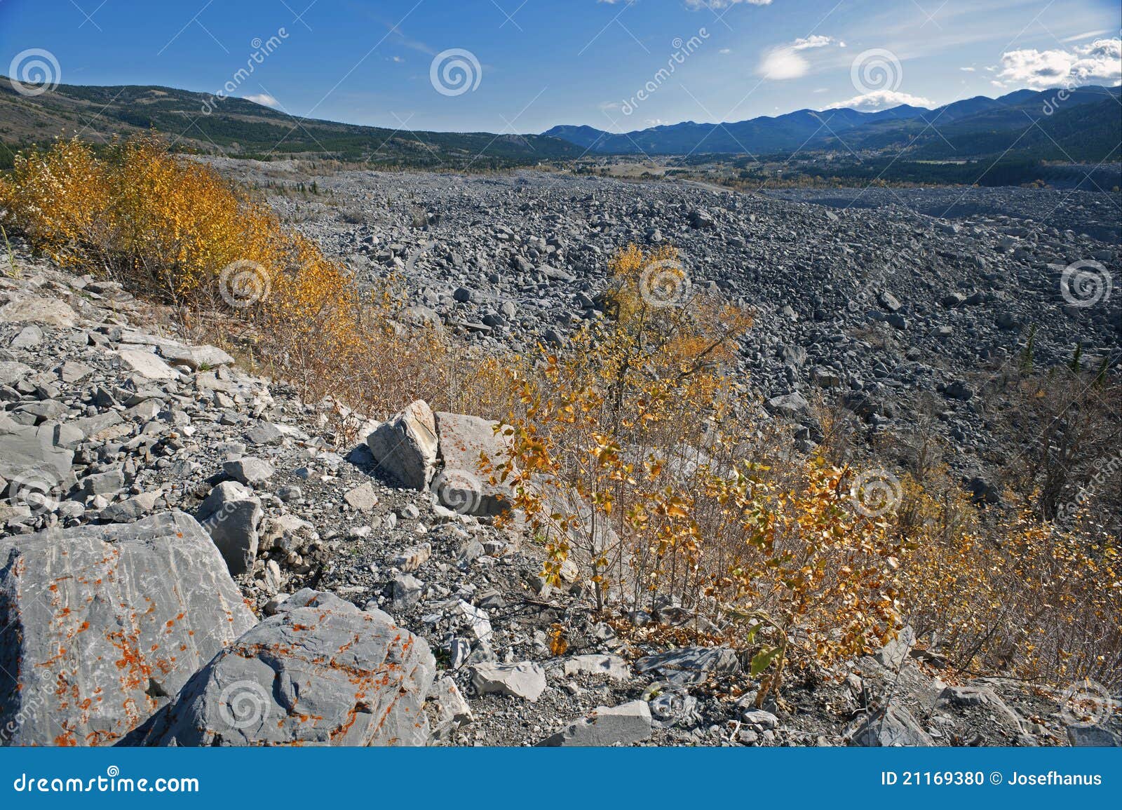Alberta - Frank Slide Disaster Stock Photo - Image of alberta, trees ...