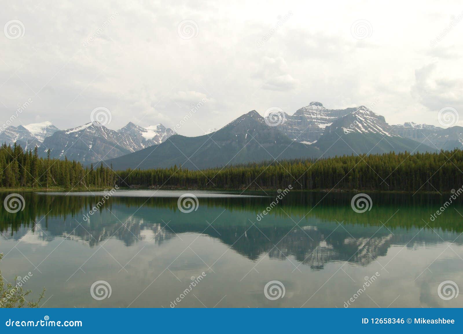 Alberta Reflection stock photo. Image of alberta, trees - 12658346