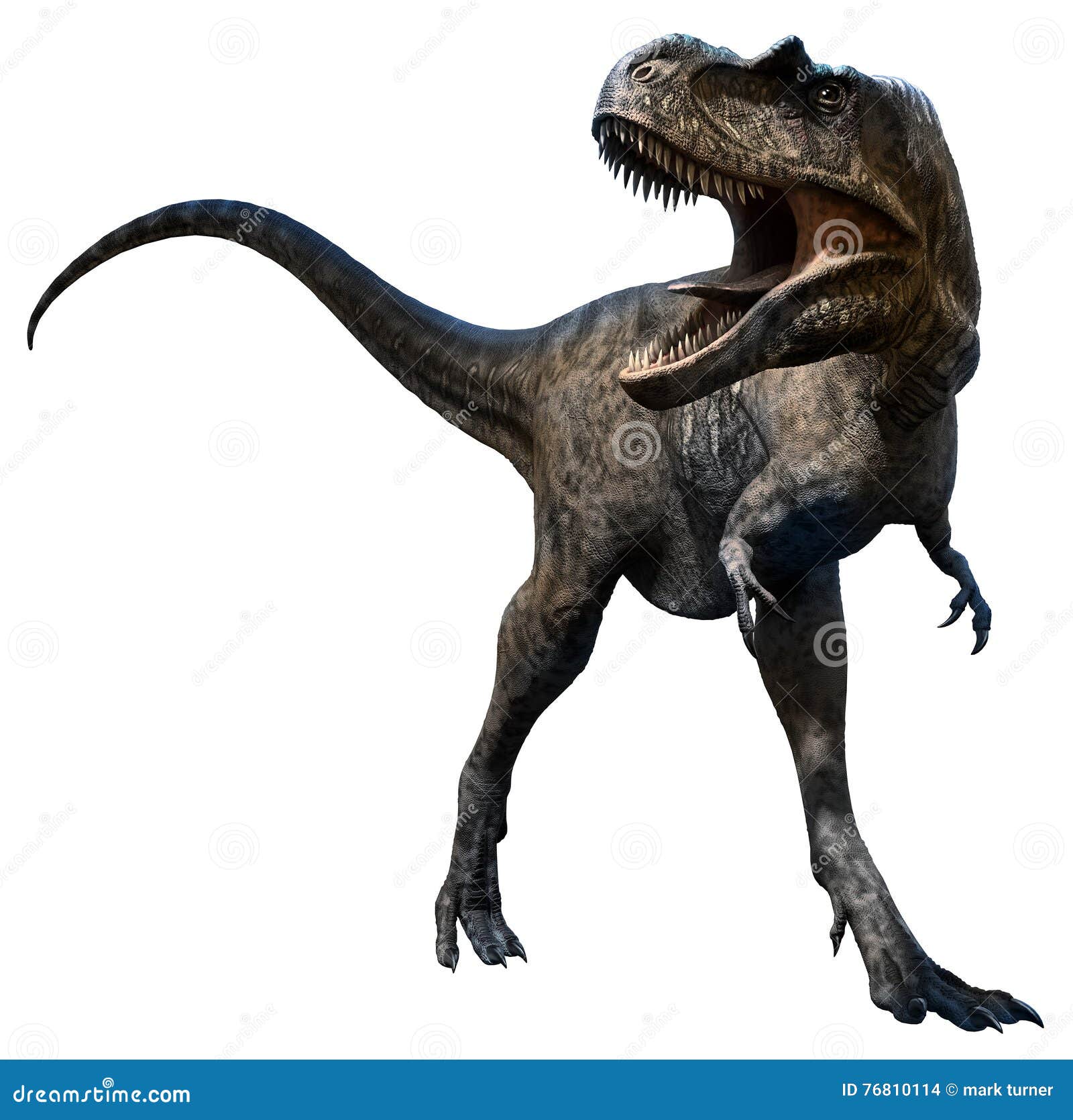 Albertosaurus Dinosaur Side Profile Royalty-Free Stock Photography ...
