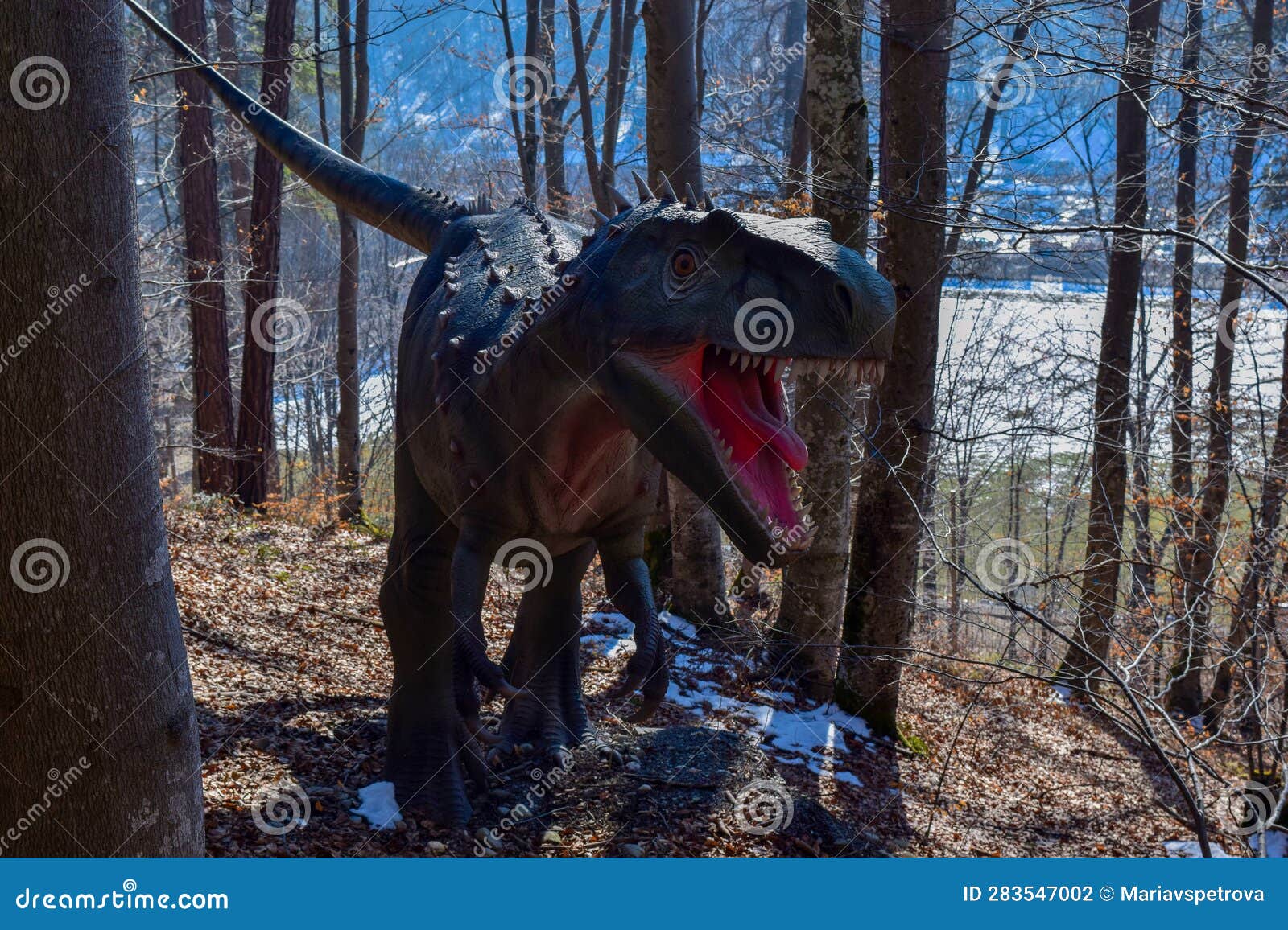 Albertosaurus in Dino Parc Rasnov Stock Photo - Image of romania ...