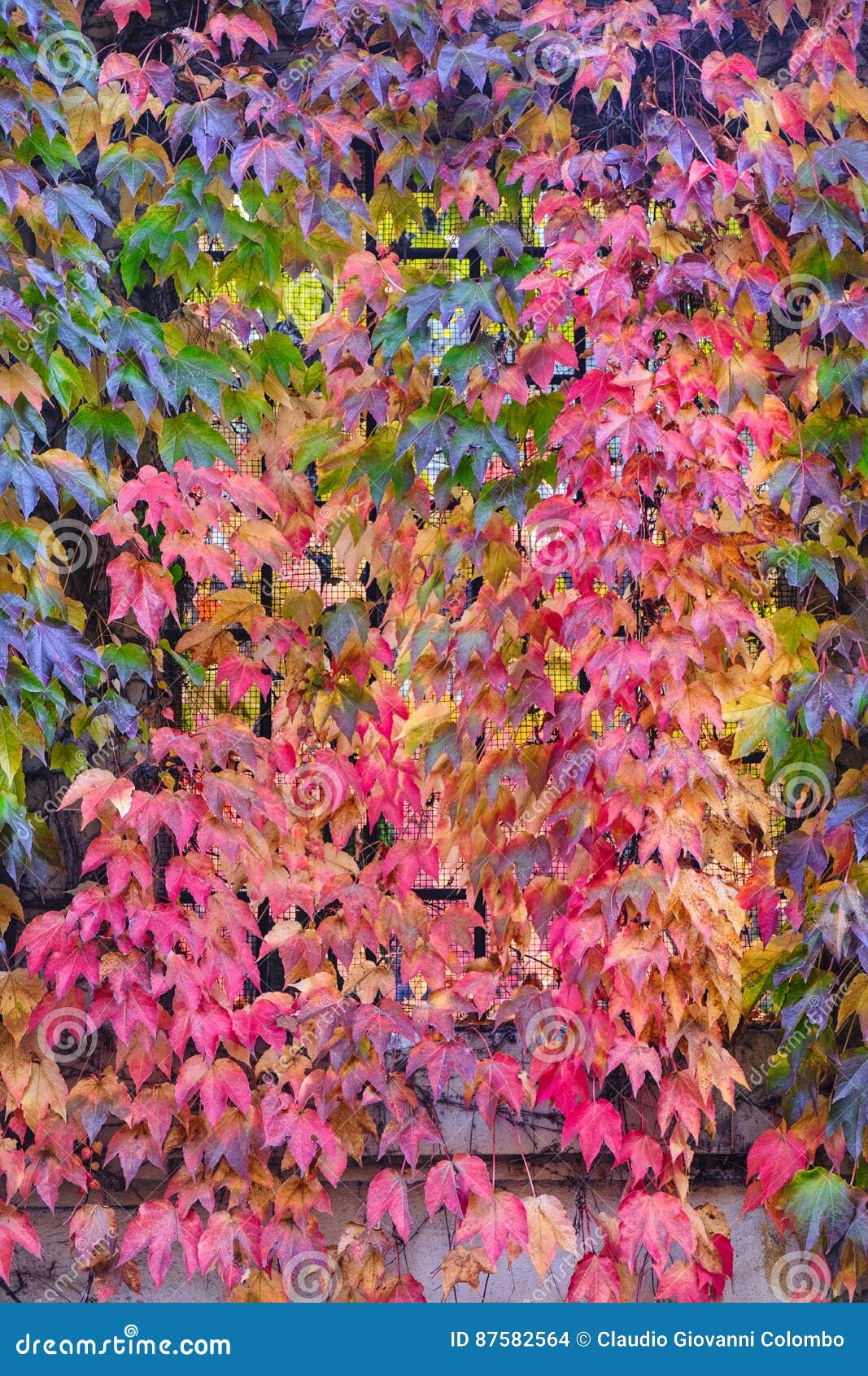 Albiate Monza Brianza, Italia Foto de archivo - Imagen de planta ...