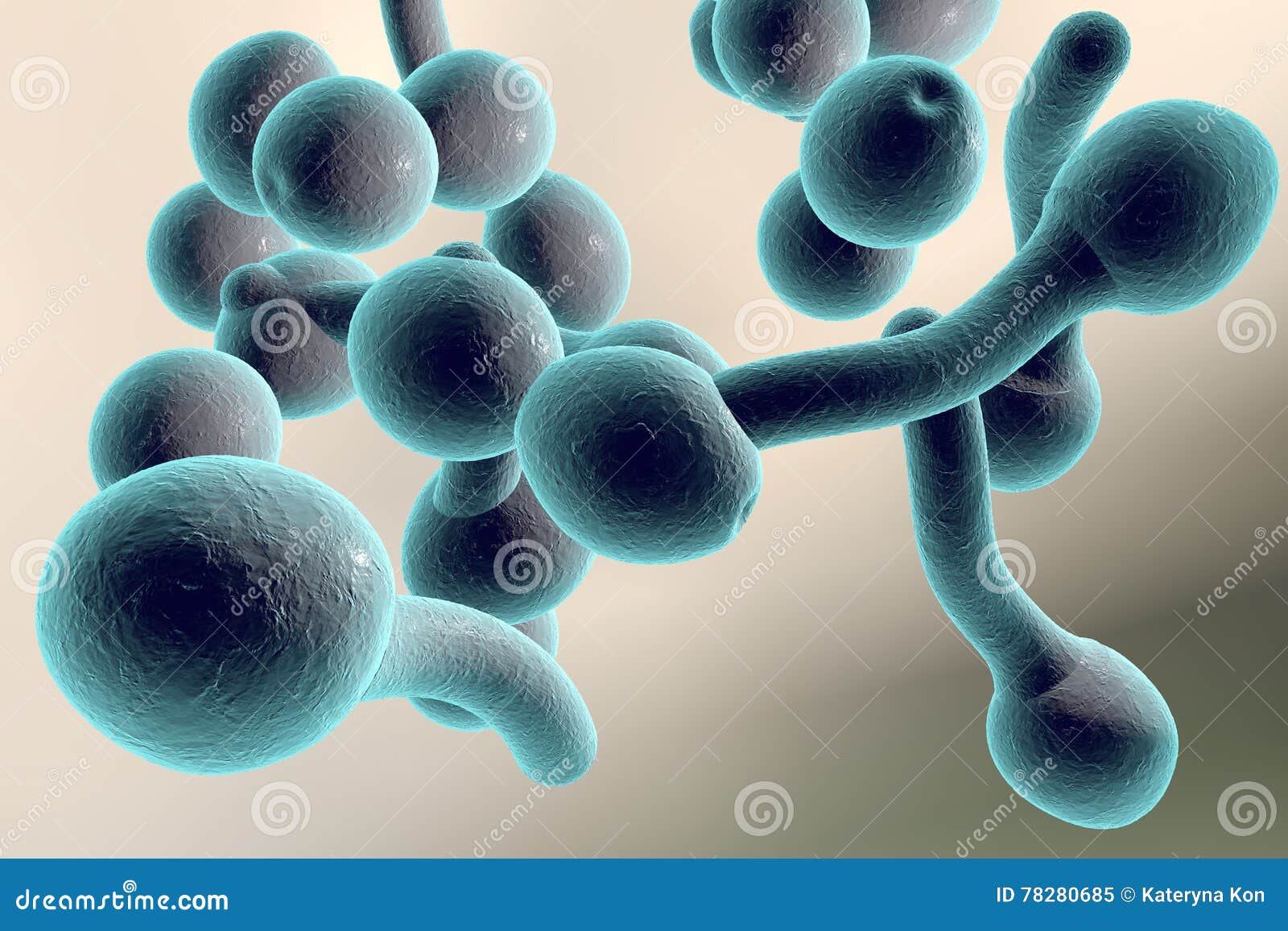 Albicans De Candida De Champignons Qui Causent La Grive Illustration ...