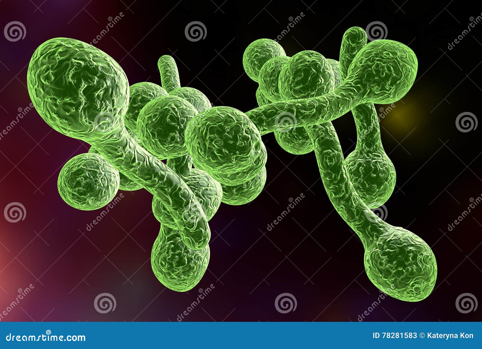 Albicans De Candida De Champignons Qui Causent La Grive Illustration ...